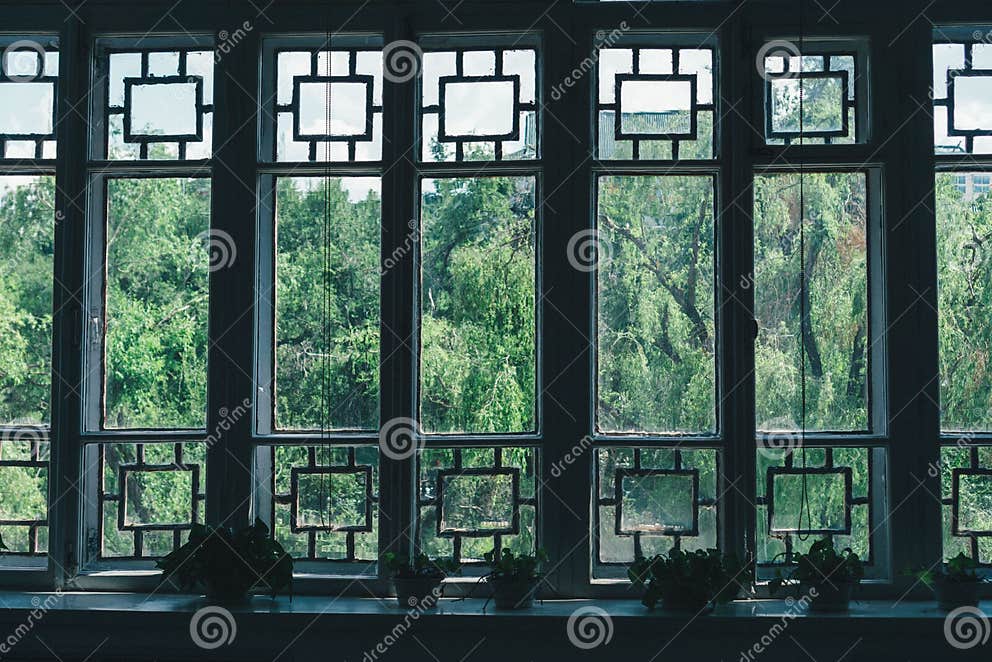 Interior View of Windows with Multiple Frames and Plants on Windowsill ...