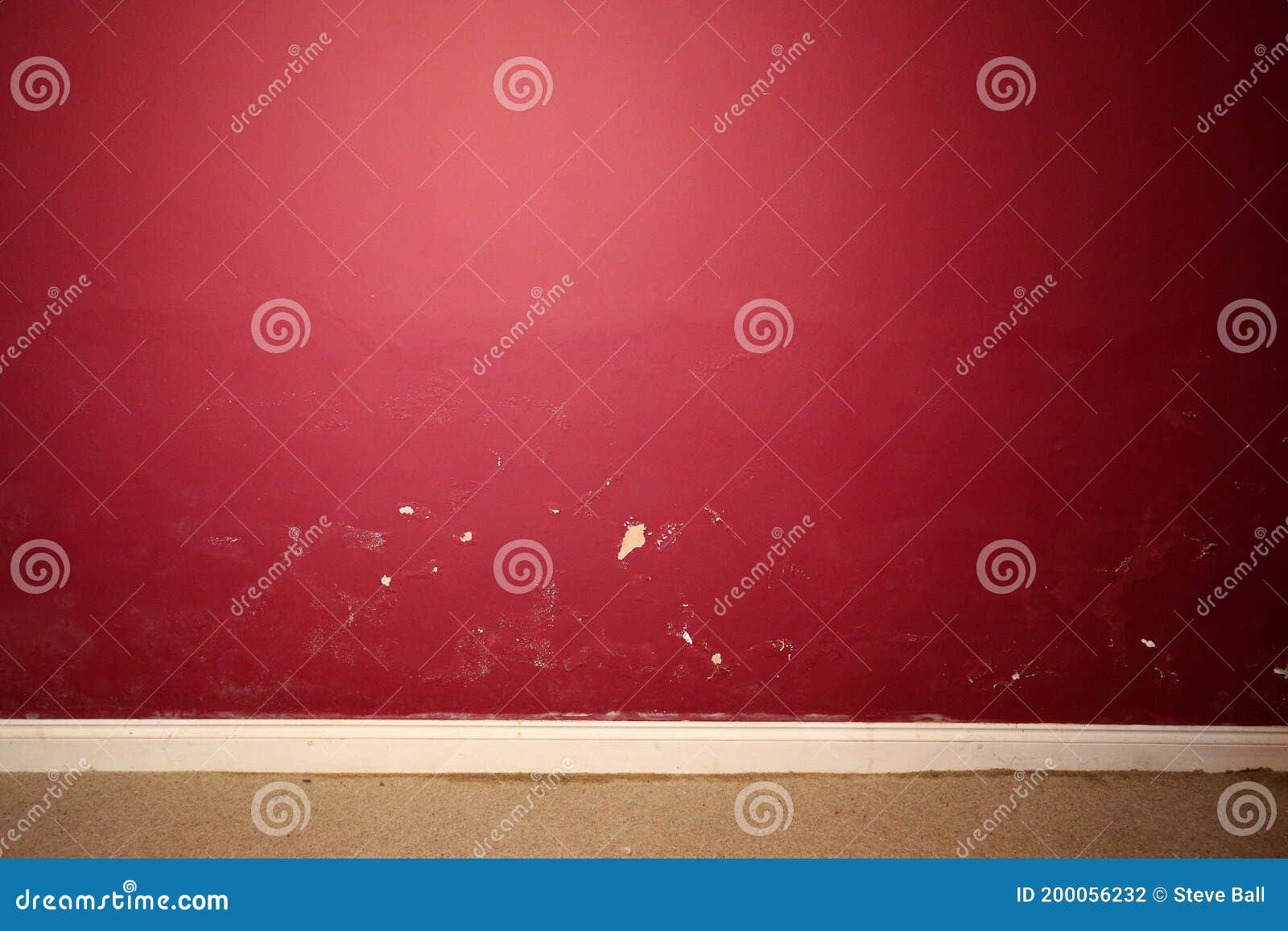 Interior Wall Damaged by Damp Stock Photo - Image of wall, renovate ...