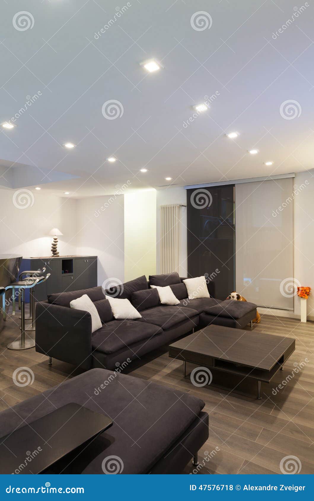 Interior, wide living room stock photo. Image of light - 47576718