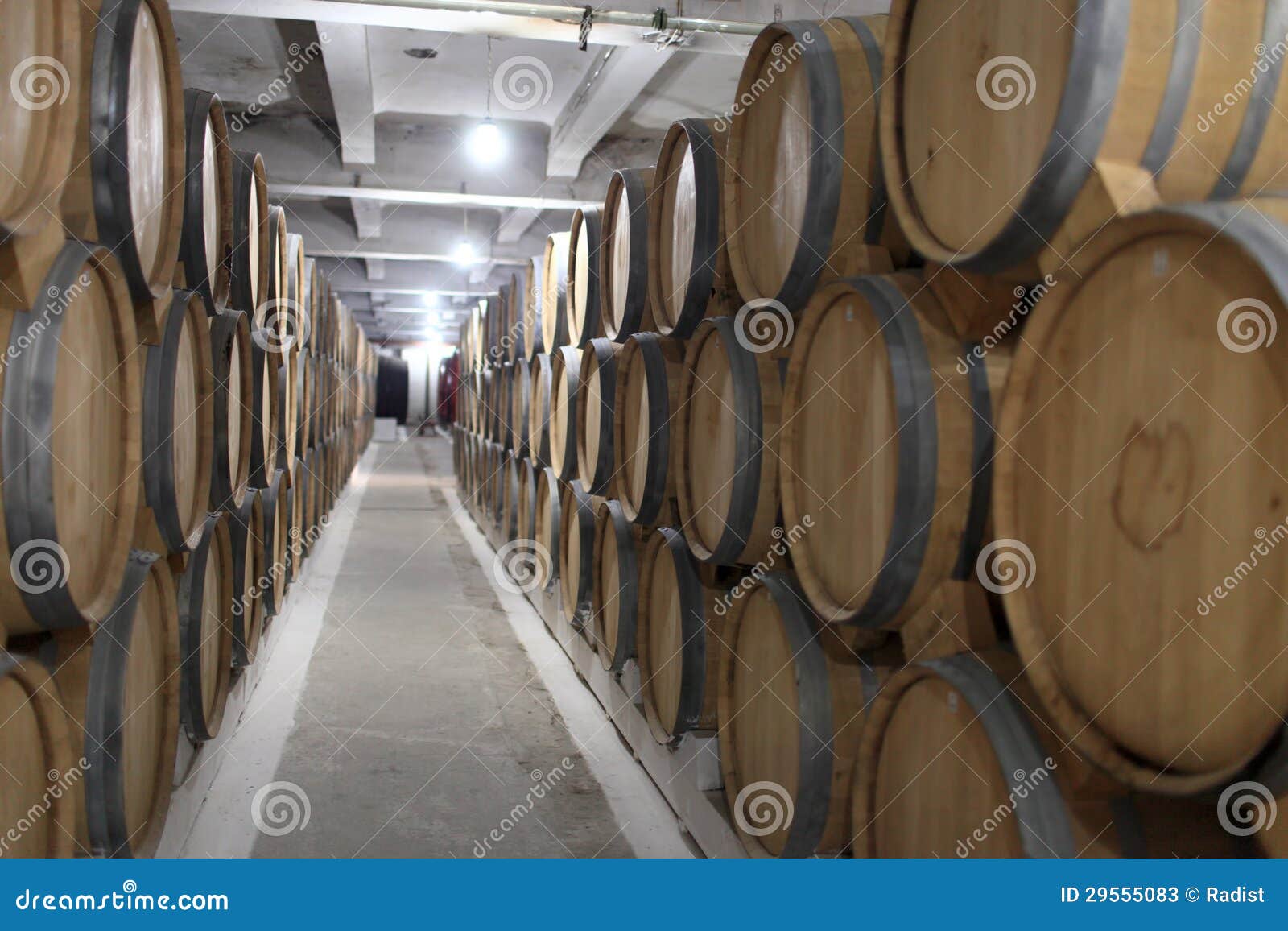Interior of winery stock image. Image of selection, basement - 29555083