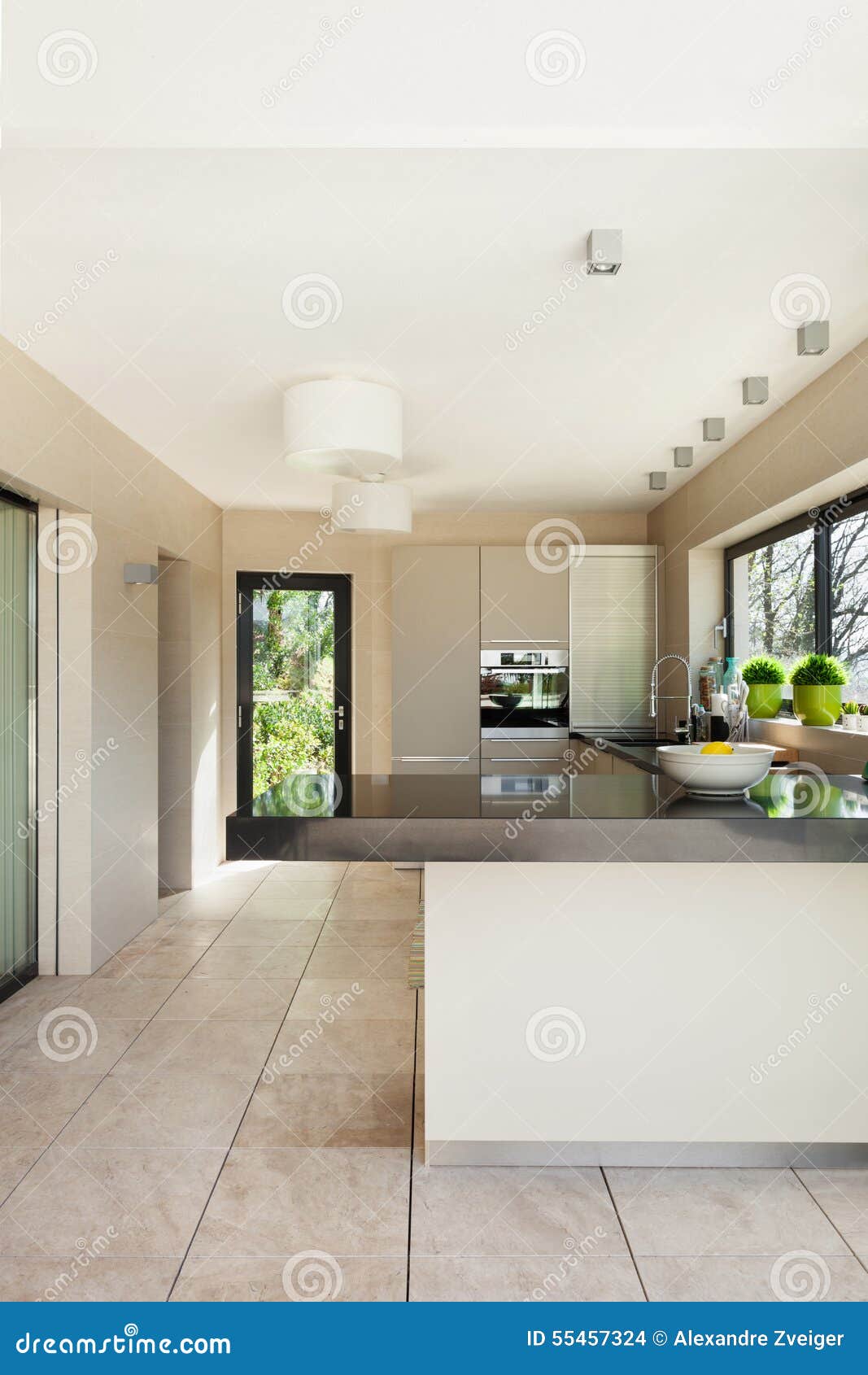 Interiors, modern kitchen stock photo. Image of modern - 55457324
