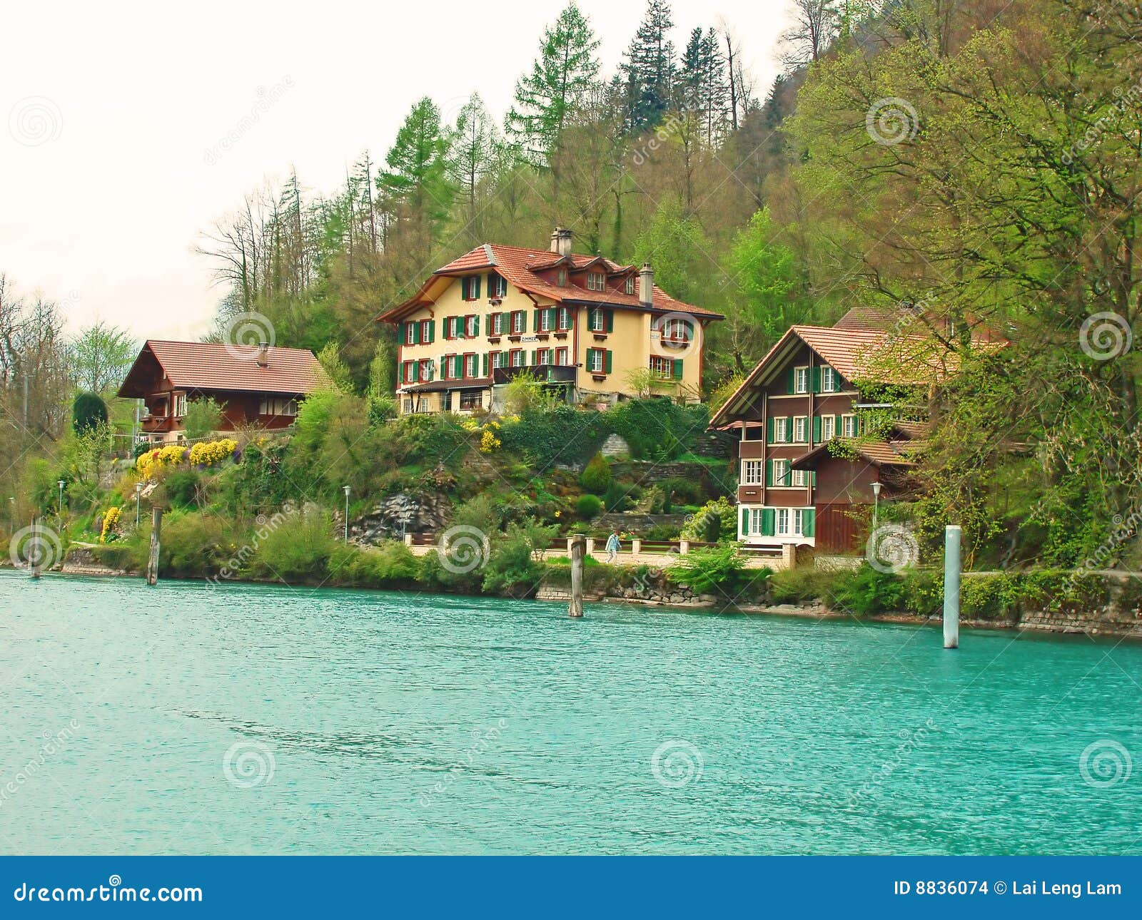 Interlaken Switzerland Countryside Stock Photo - Image of spring, water ...