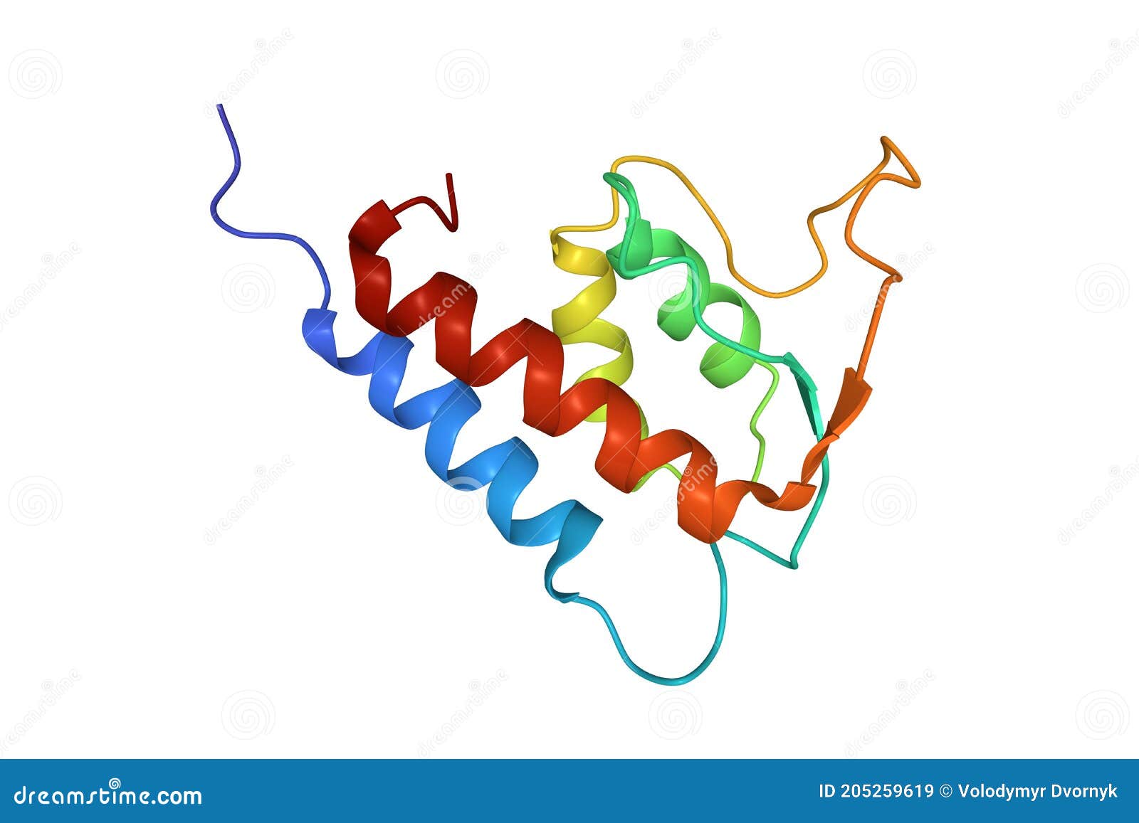 Goblet Cell. Structure Cell Nucleus And Other Organelles. Vector ...