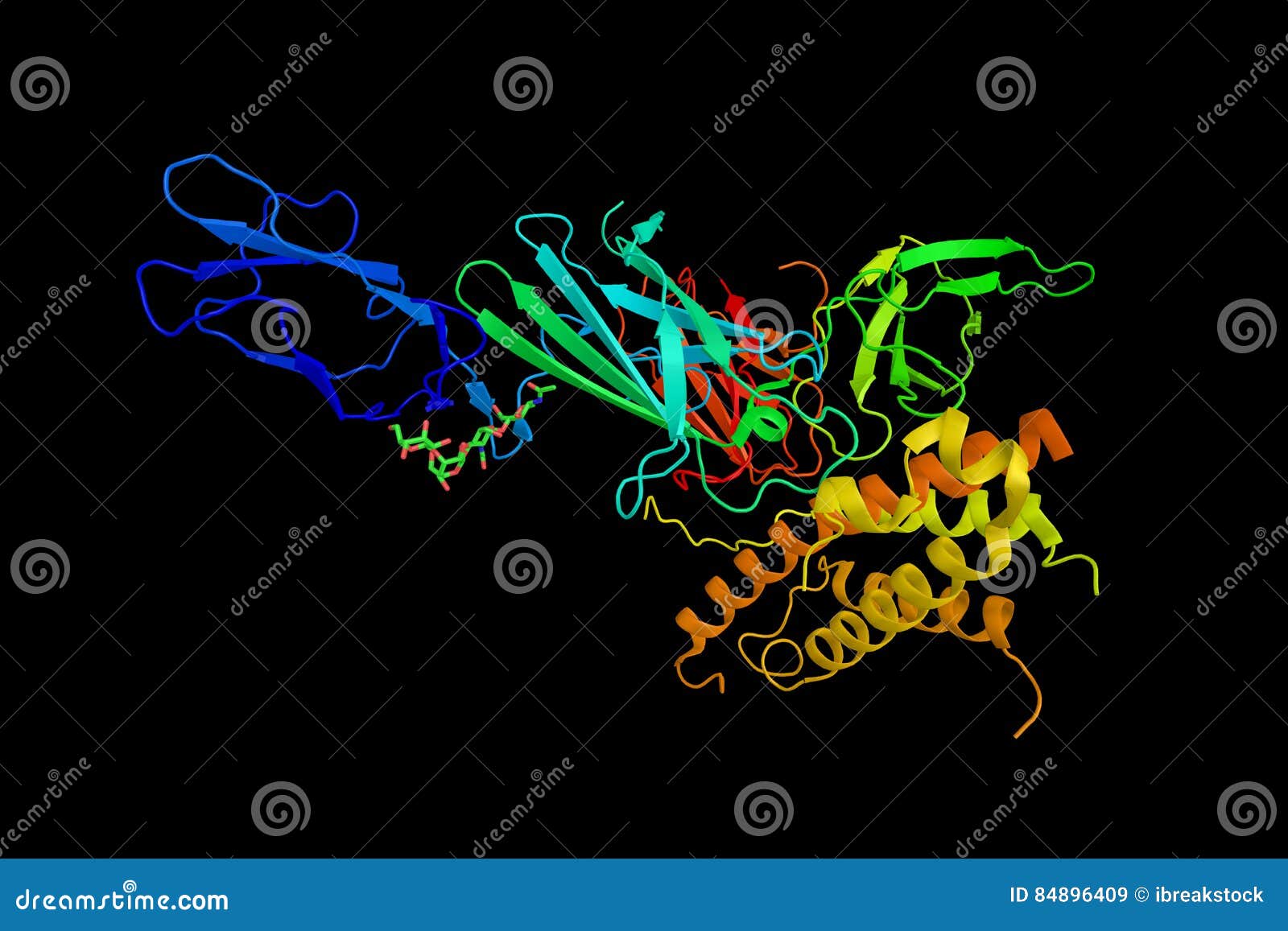 Interleukin-23 IL-23, En Heterodimeric Cytokine Stock Illustrationer ...