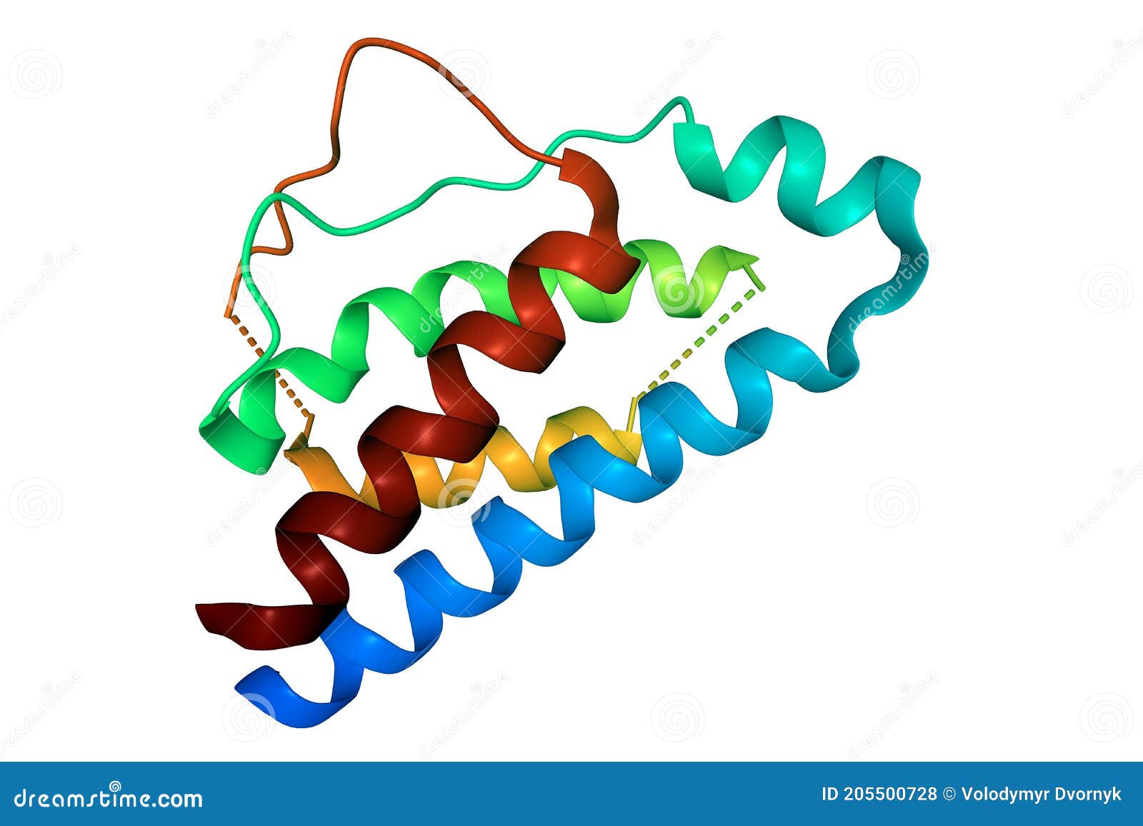 Structure of Human Interleukin-2 Stock Illustration - Illustration of ...
