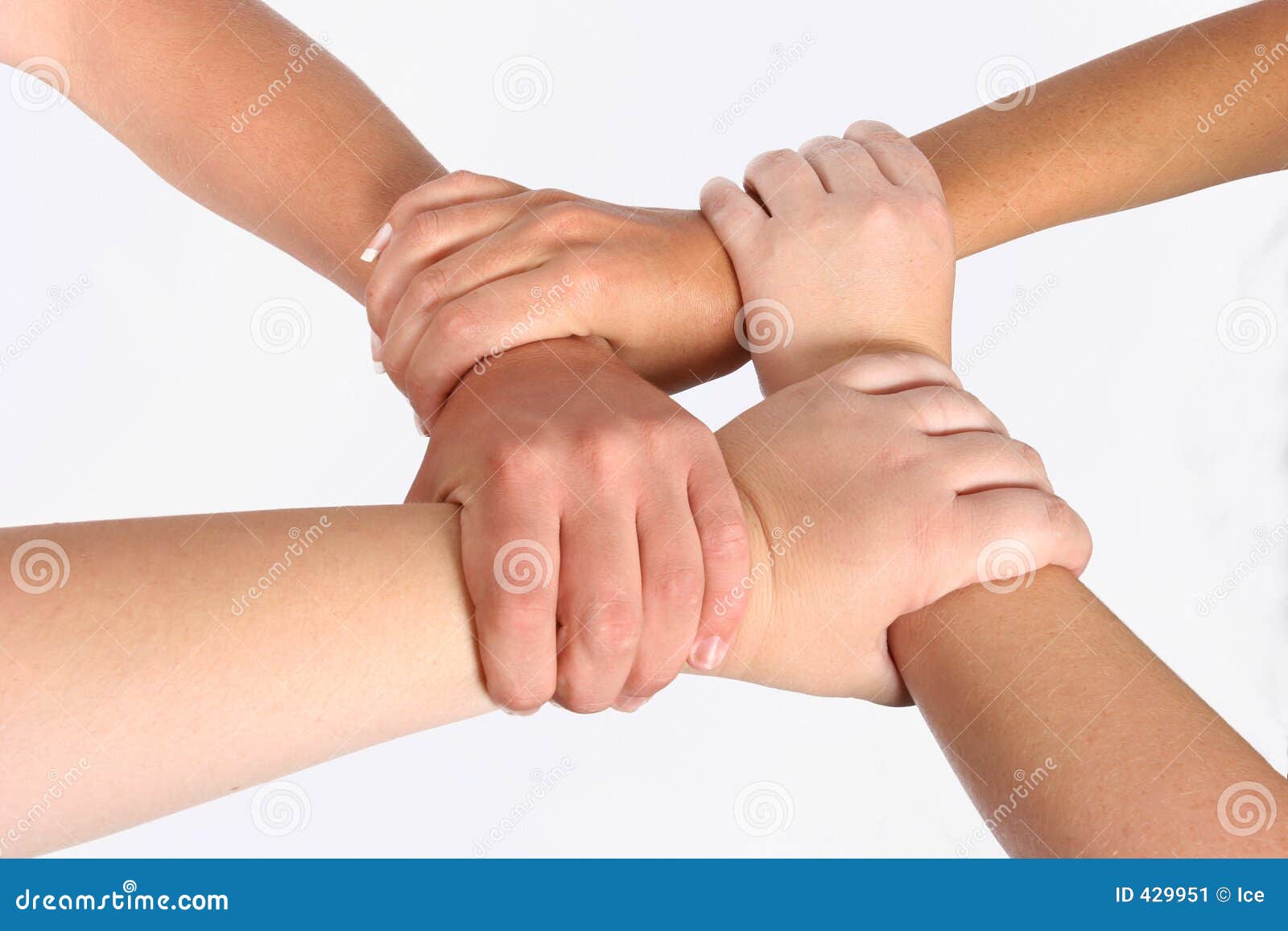 Interlocked hands stock image. Image of isolated, people - 429951 Interlocked hands stock image. Image of isolated, people - 429951