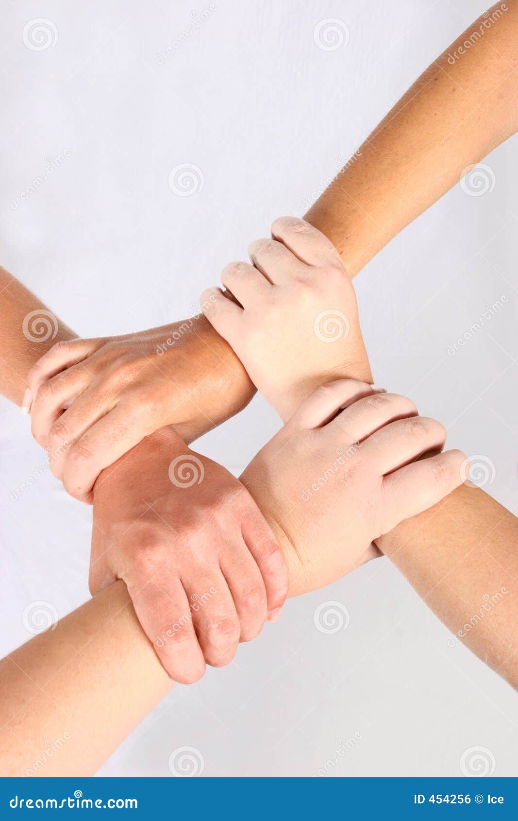 Interlocked hands stock photo. Image of bodyparts, unity - 454256