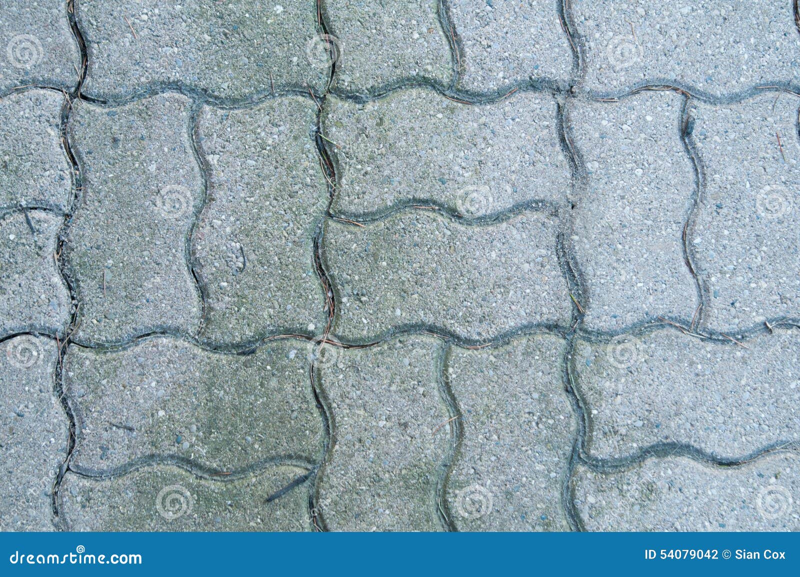 Interlocking brick stock photo. Image of brick, pathway - 54079042