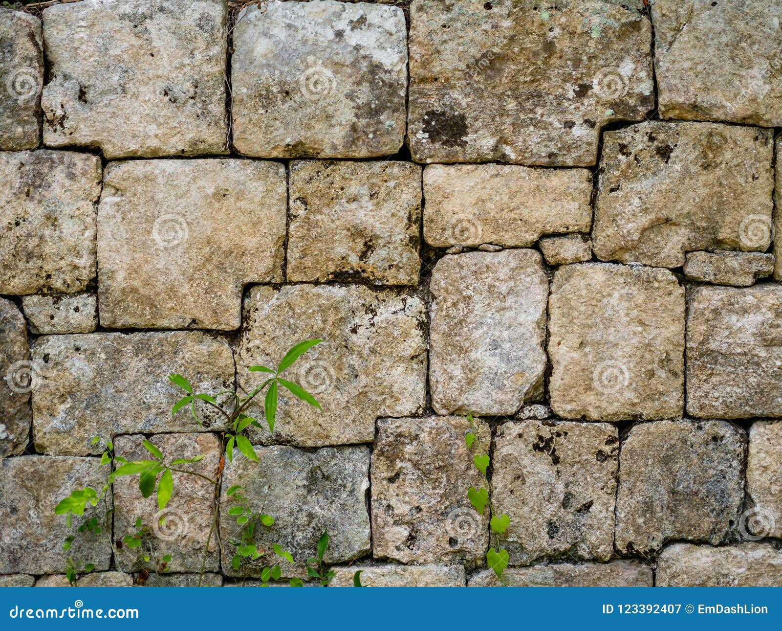 Interlocking Stone Wall of a Mayan Temple in the Mexican Jungle Stock ...