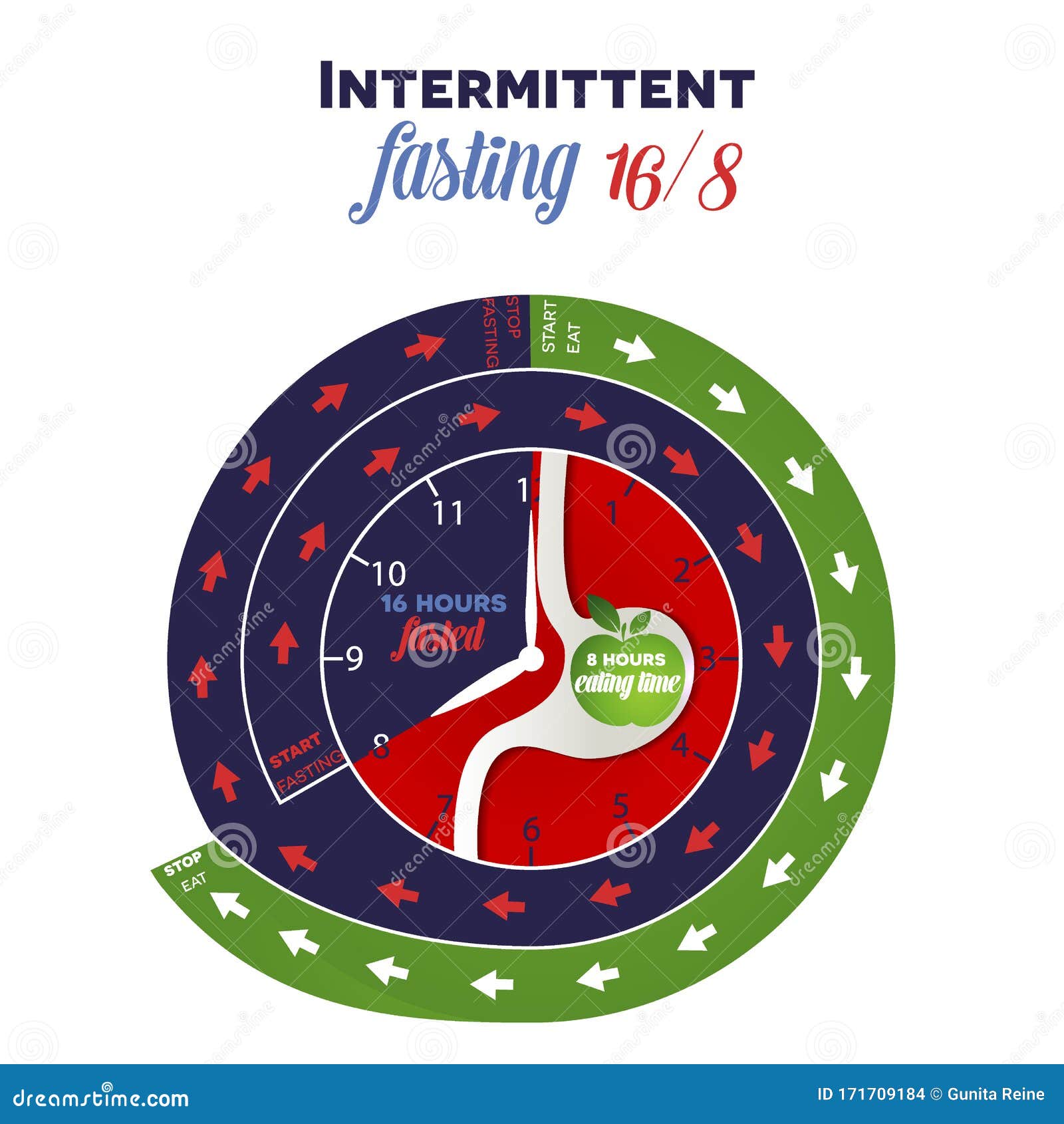 Intermittent Fasting Clock Intermittent Fasting Clock