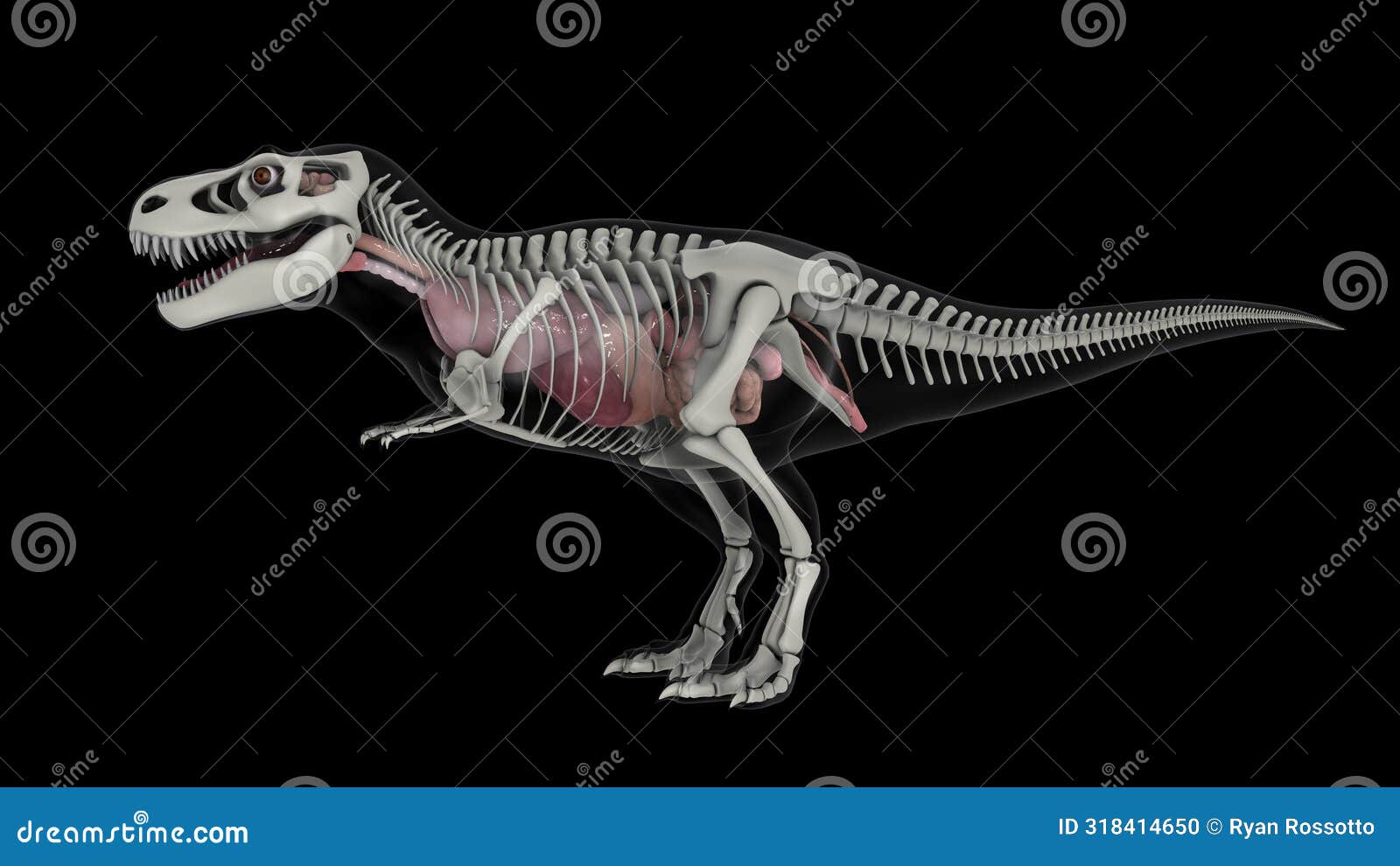 STK600185P stock illustration. Illustration of full - 318414650