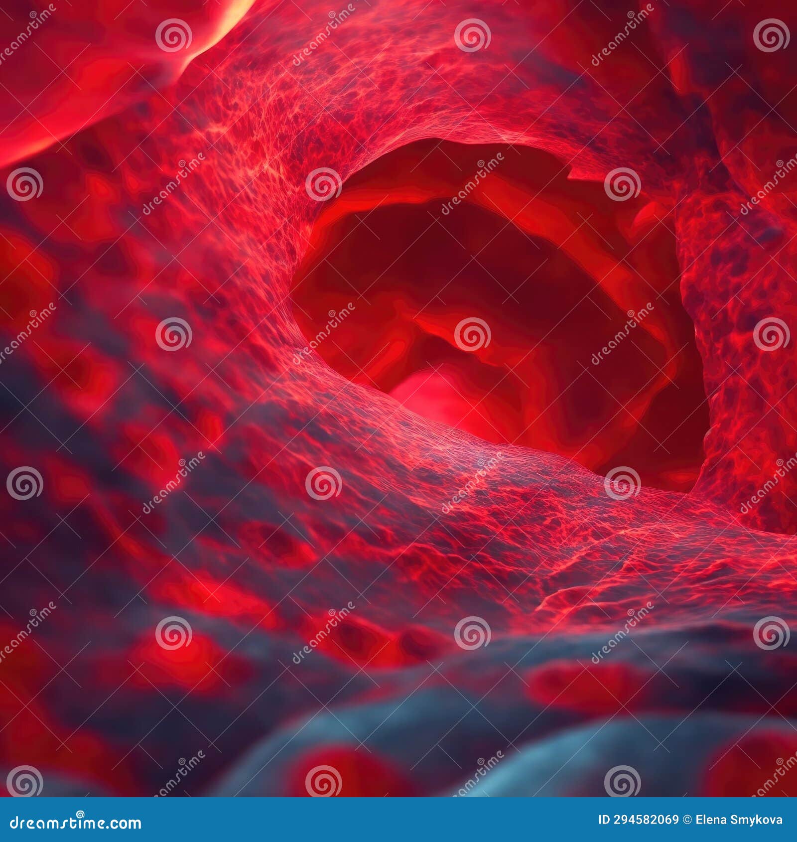 The Internal Appearance of a Blood Artery, the Path of Blood through ...