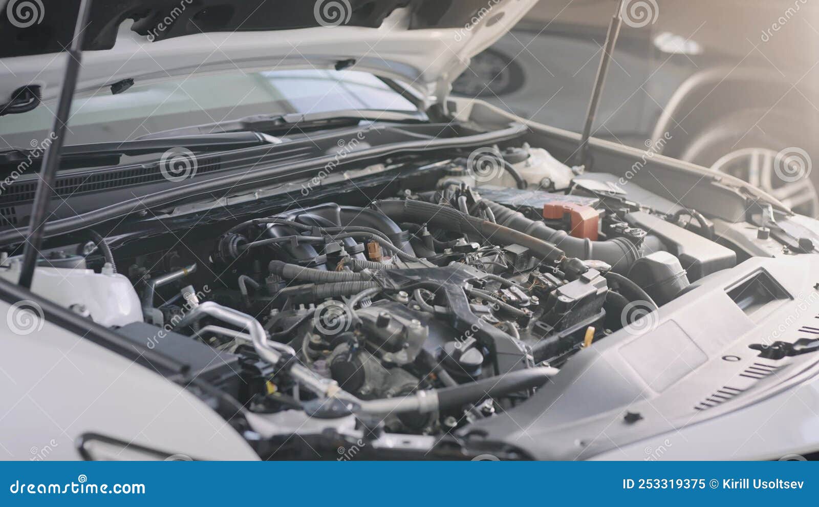 Internal Combustion Engine, Under the Hood. Service Car Stock Video ...