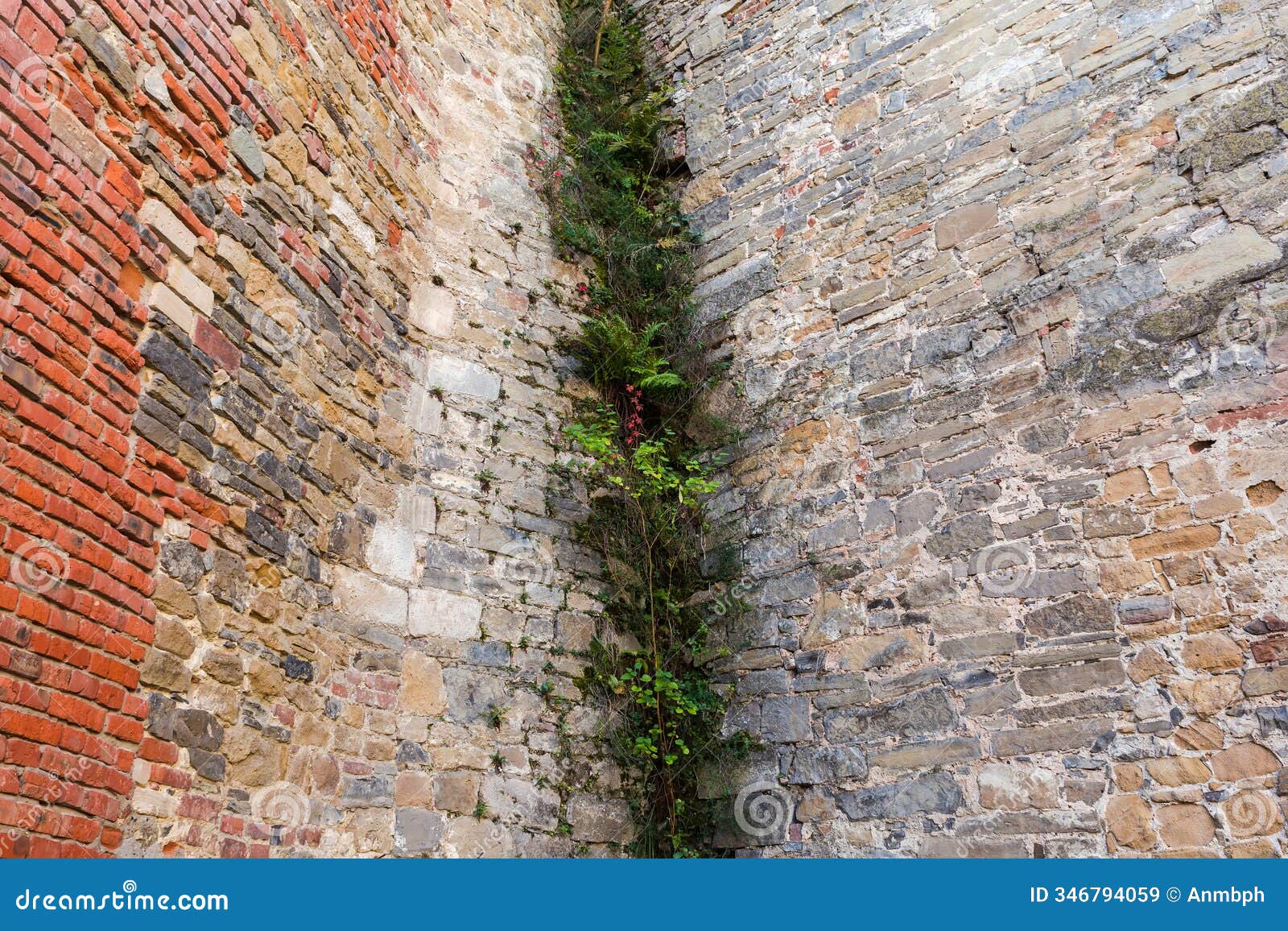 Internal Corner between Defensive Wall and Building Overgrown with ...