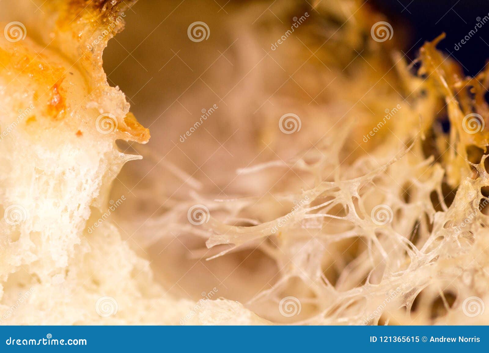 Internal Crust stock image. Image of leftovers, closeup - 121365615