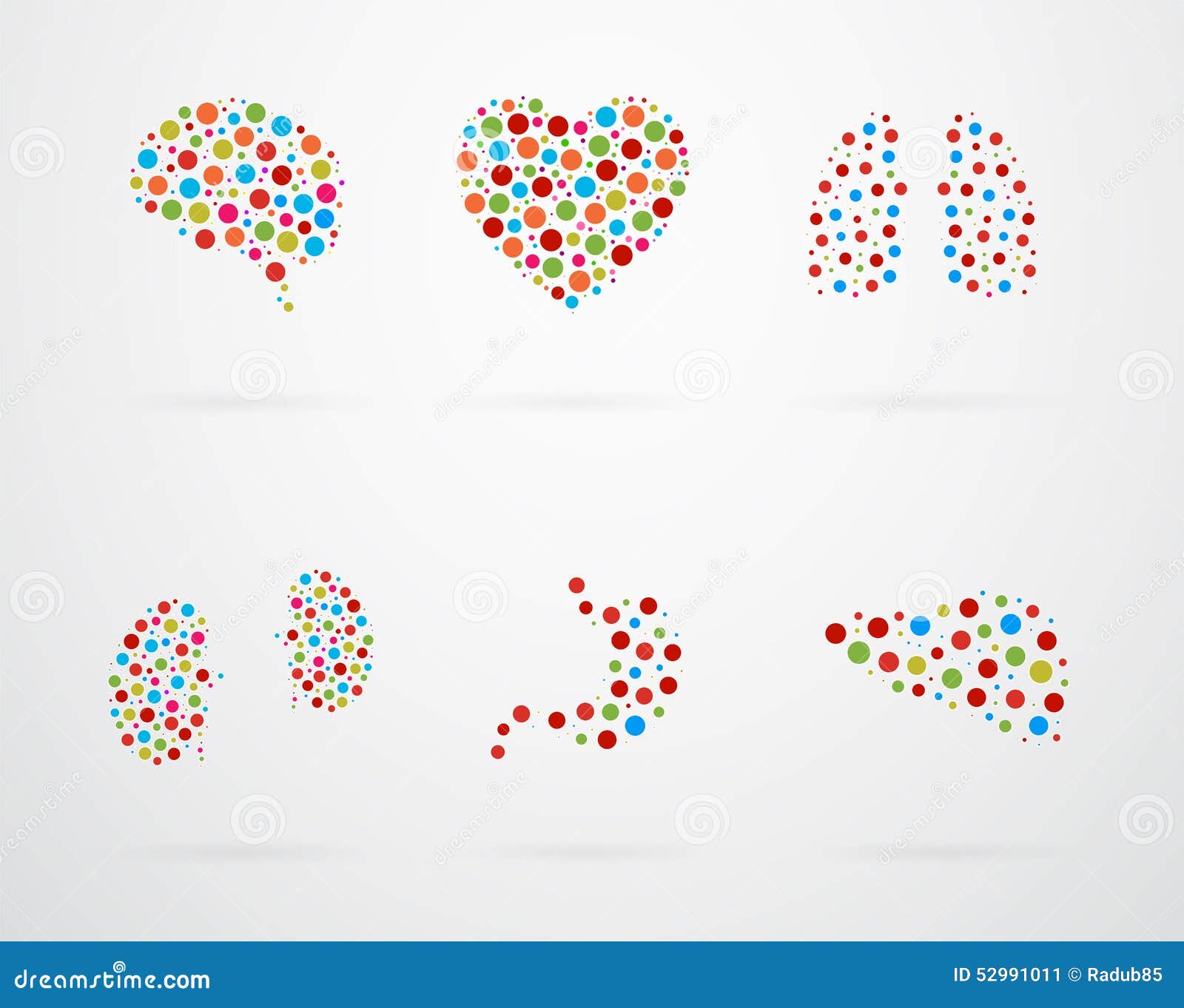 Internal Human Organs Icons Stock Vector Illustration Of Icon
