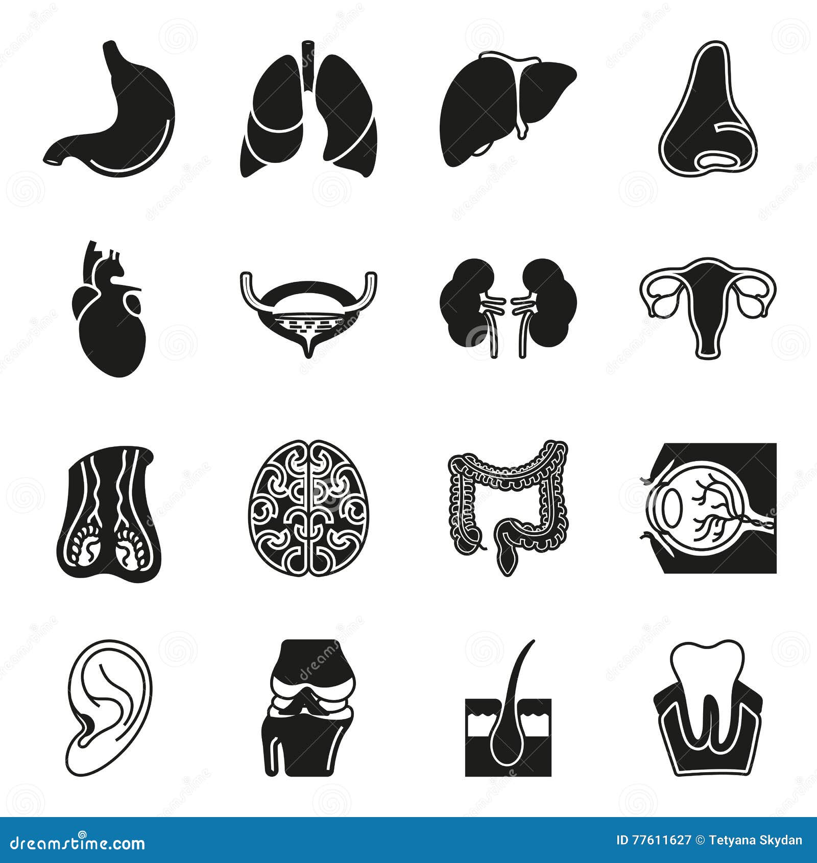 Internal Human Organs Icons Set Stock Illustration Illustration Of