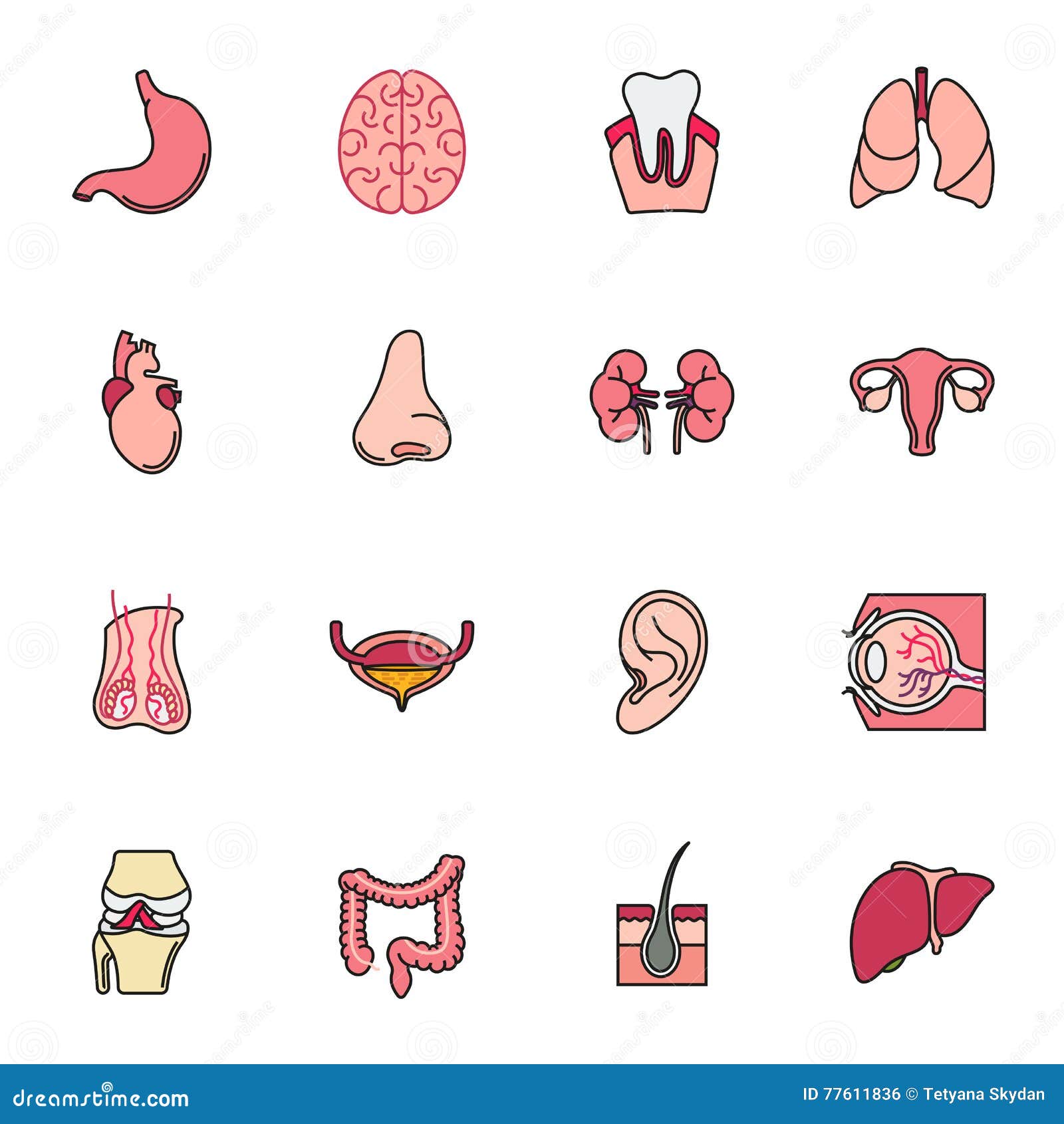 Internal Human Organs Icons Set Stock Illustration Illustration Of
