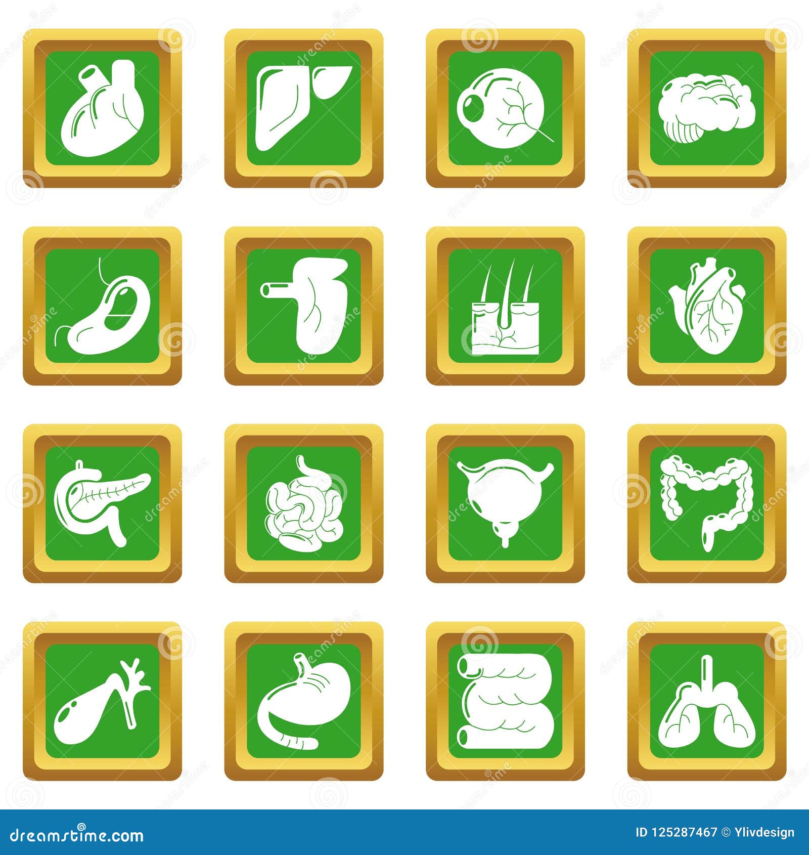Internal Human Organs Icons Set Green Square Stock Illustration