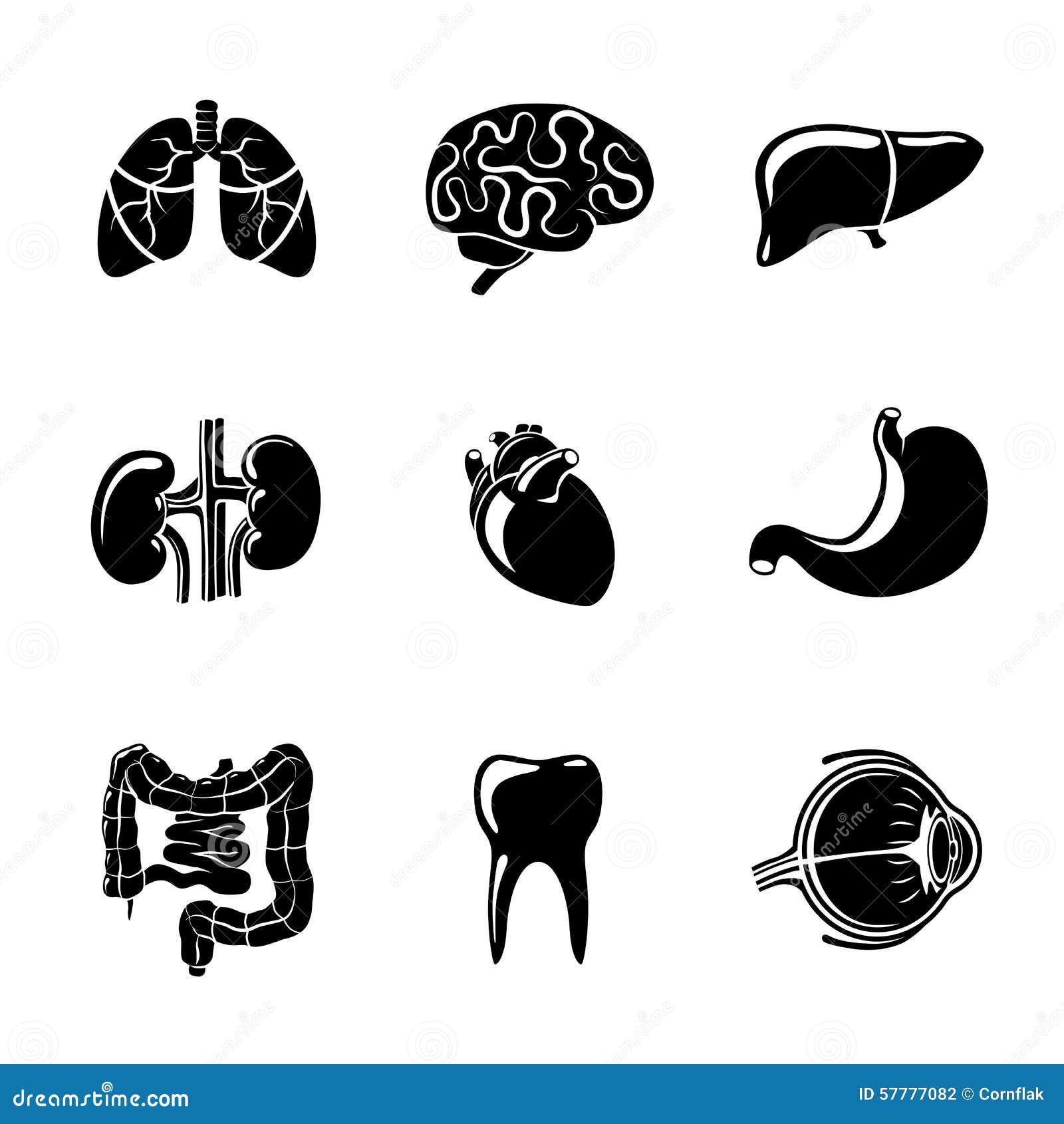 Internal Human Organs Icons Set With Heart Stock Vector