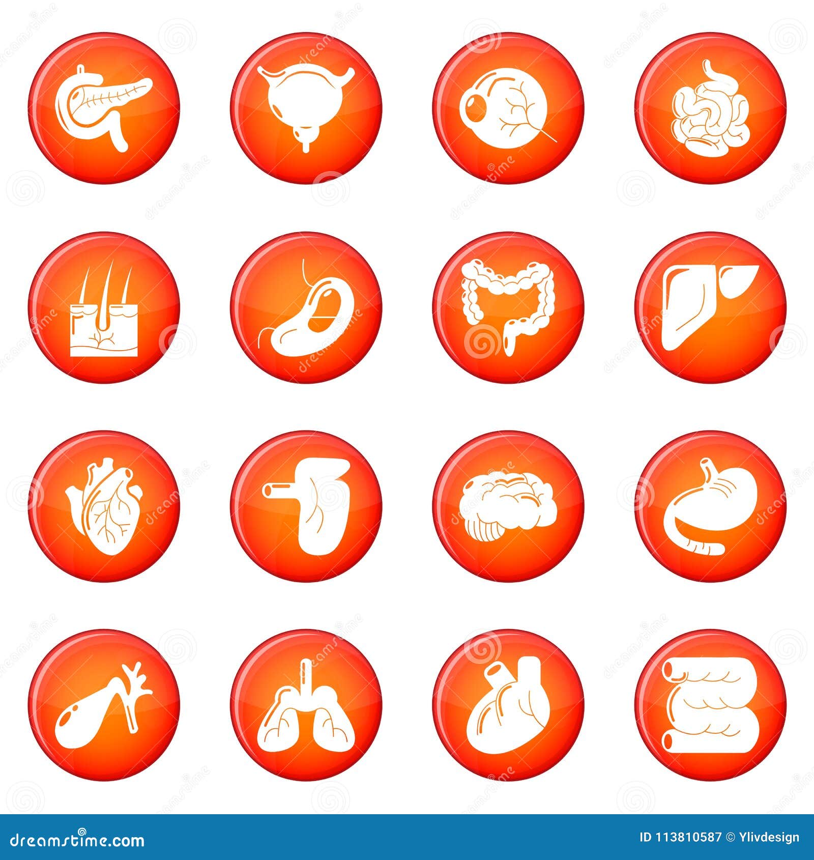 Internal Human Organs Icons Set Red Vector Stock Vector - Illustration ... Internal Human Organs Icons Set Red Vector Stock Vector - Illustration ...