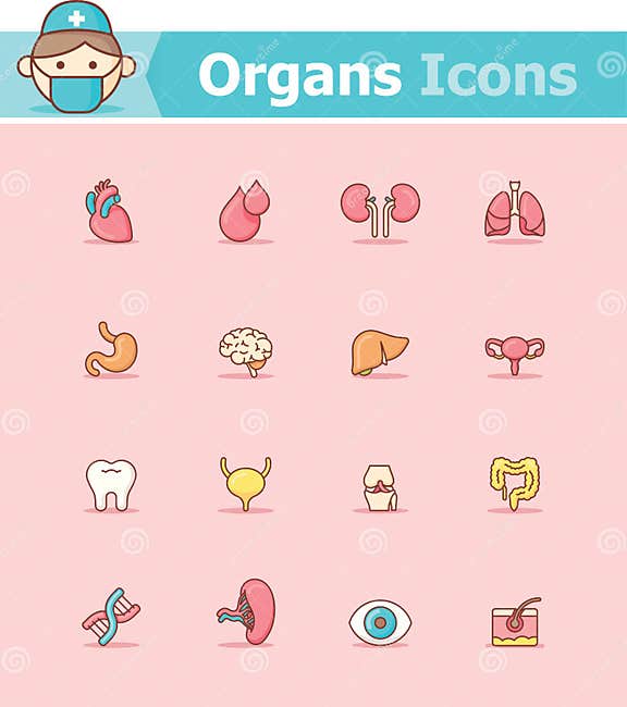 Internal organs icon set stock vector. Illustration of bone - 48583629