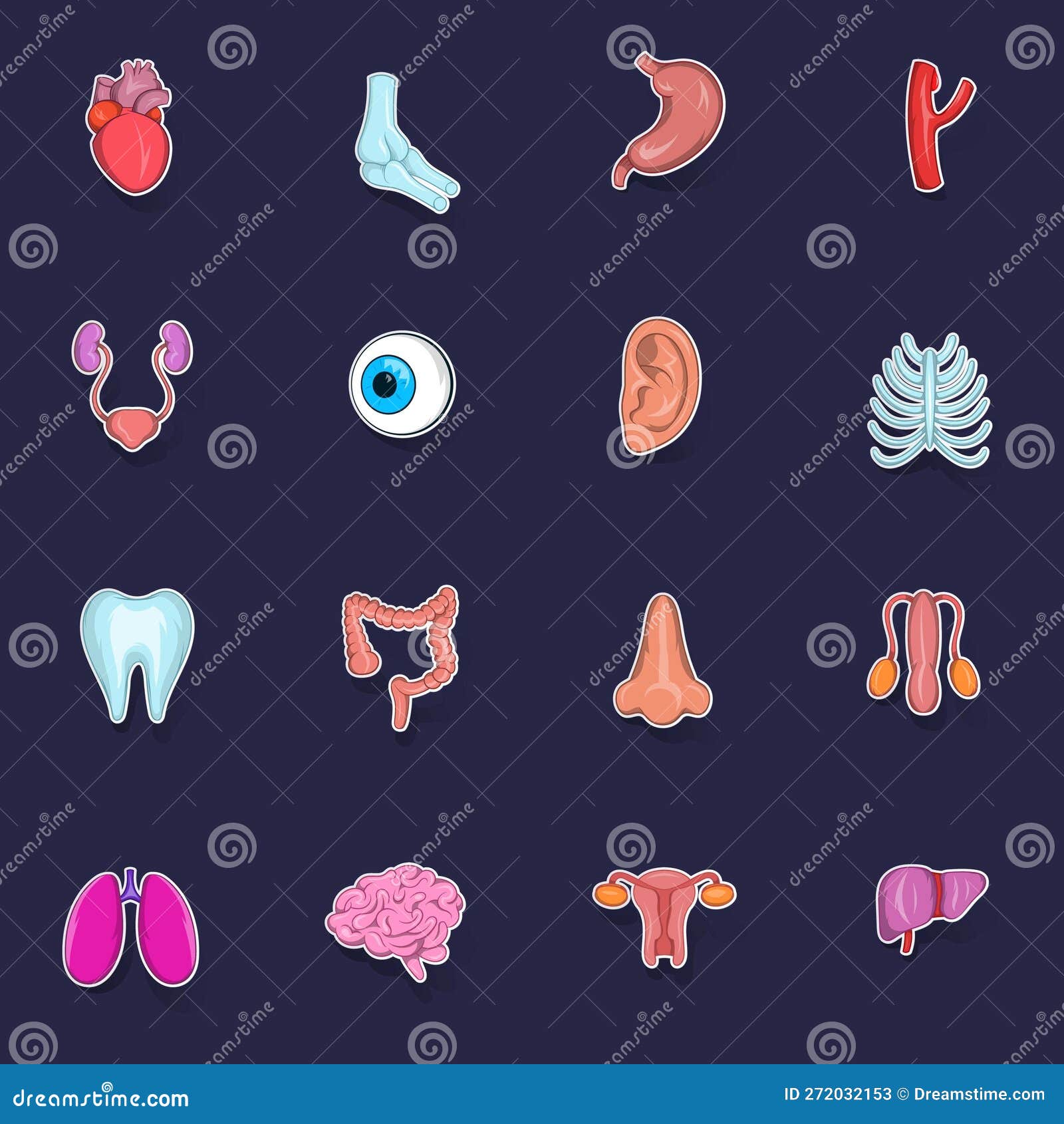 Internal Organs Icon Set Vector Sticker Stock Vector - Illustration of ...