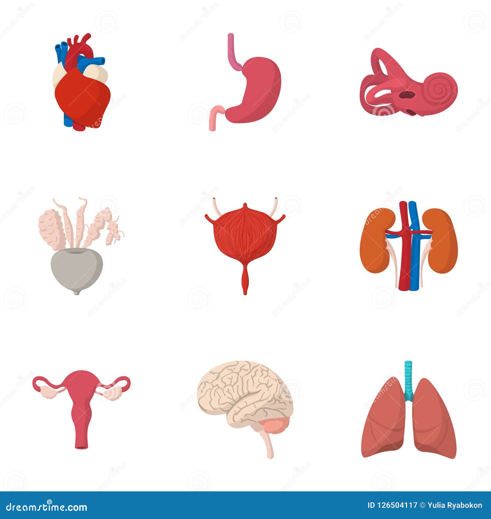 Internal Organs Icons Set, Cartoon Style Stock Illustration ... Internal Organs Icons Set, Cartoon Style Stock Illustration ...