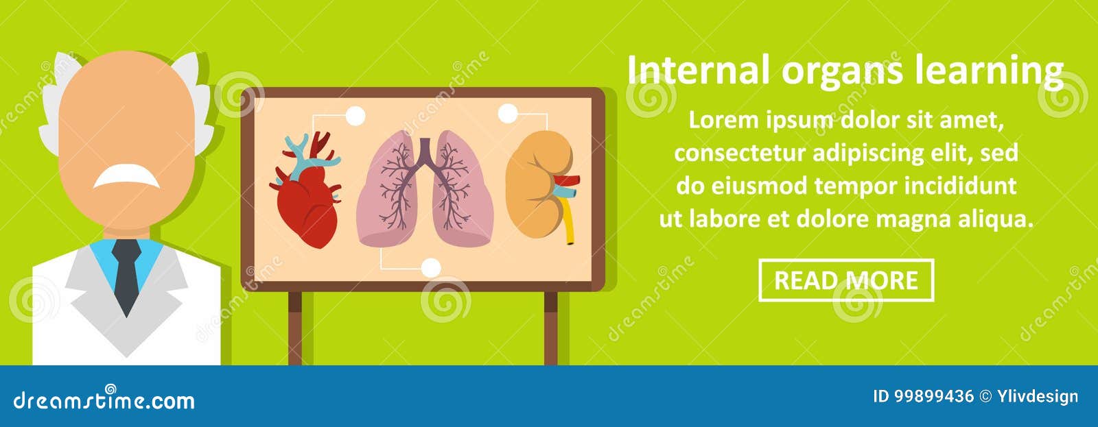 Internal Organs Learning Banner Horizontal Concept Stock Vector ...