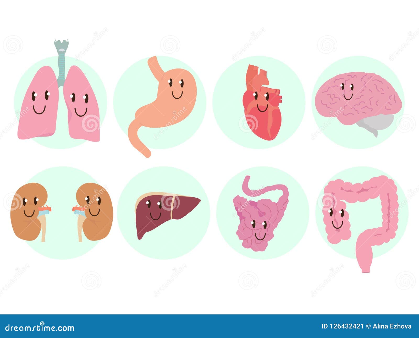 Internal Organs of Man. Character Stock Vector - Illustration of ...