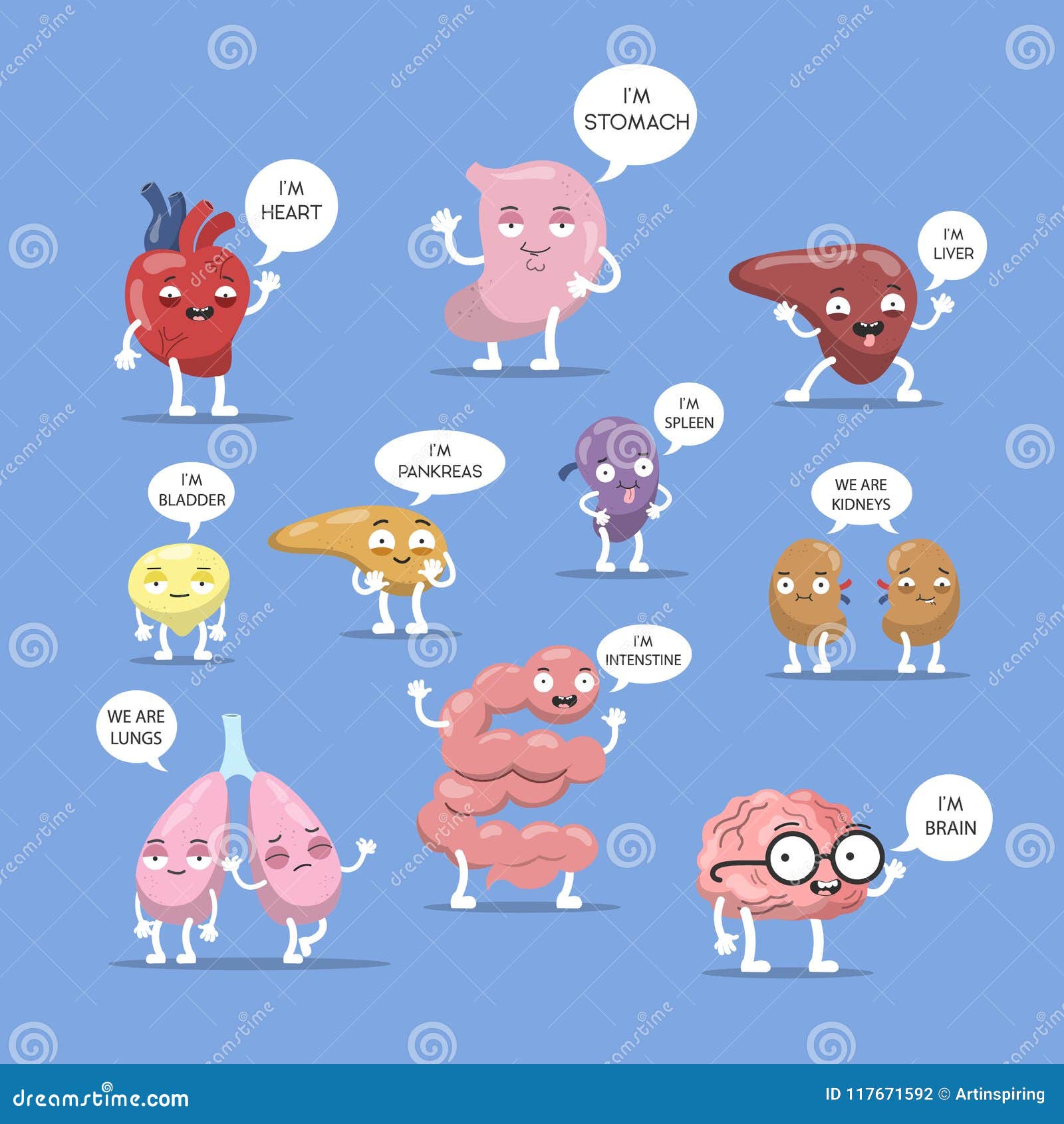 Internal organs set. stock vector. Illustration of cartoon - 117671592