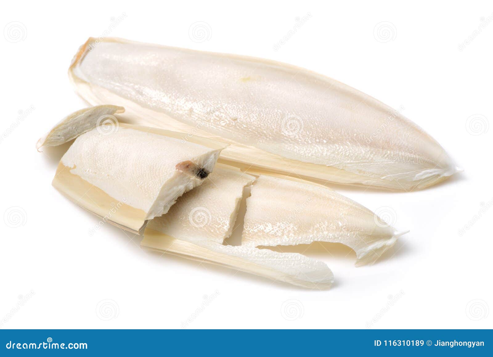 The Internal Shell Or Bone Of Dead Cuttlefish. Cuttlefish Bone On ...