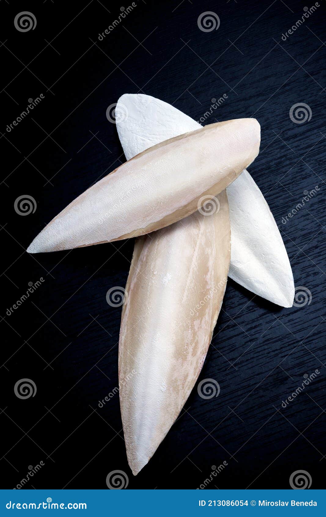 The Internal Shell or Bone of Dead Cuttlefish. Cuttlefish Bone on ...