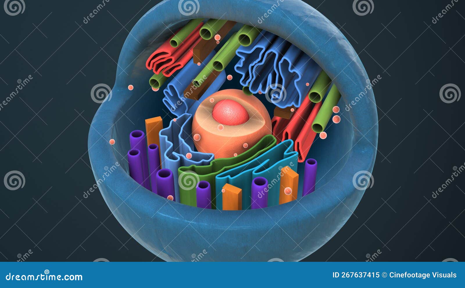 Inside The Endoplasmic Reticulum: A Vivid 4K View Of A Highly Detailed ...