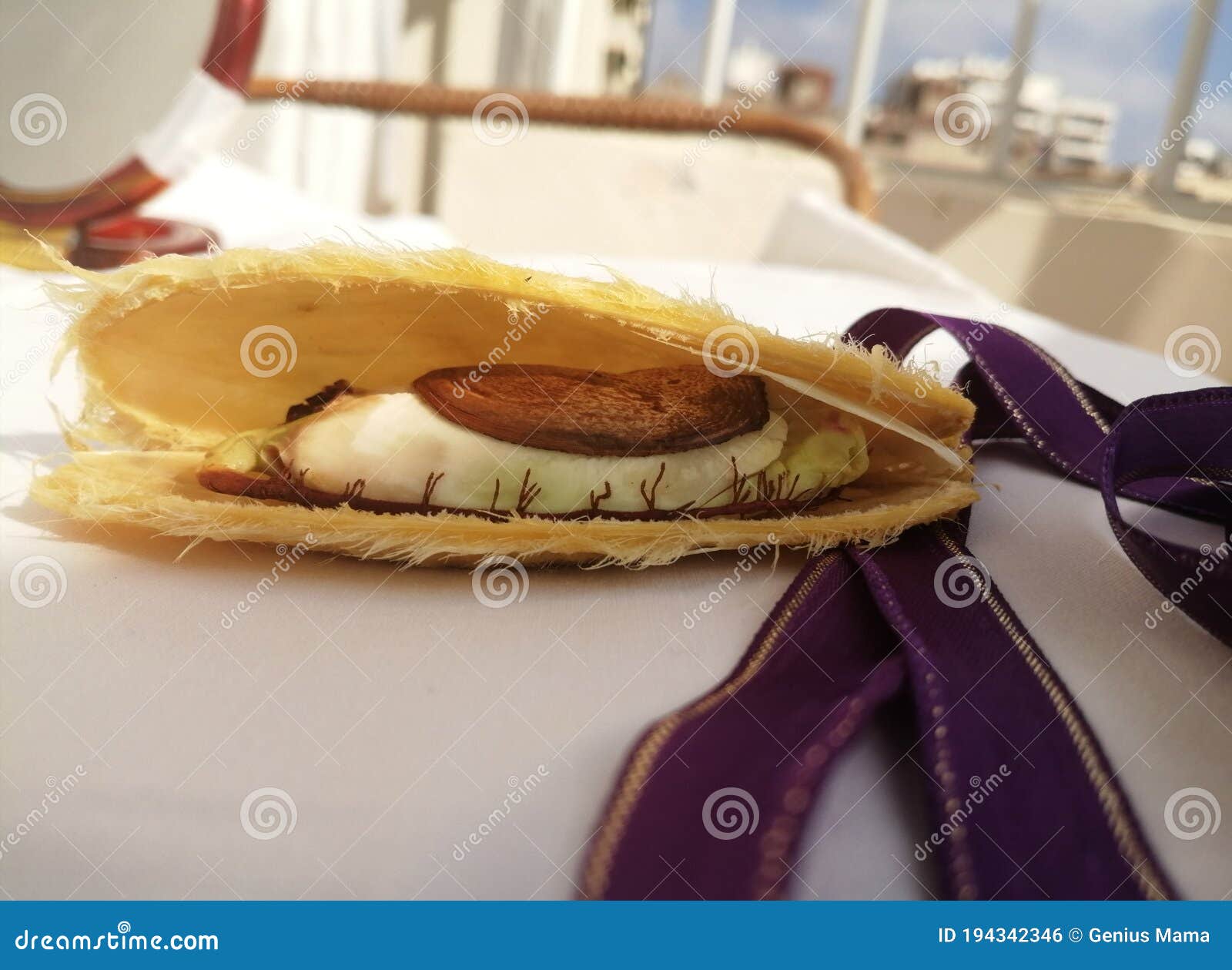 The Internal Structure of the Mango Seed upon Germination and Giving it ...