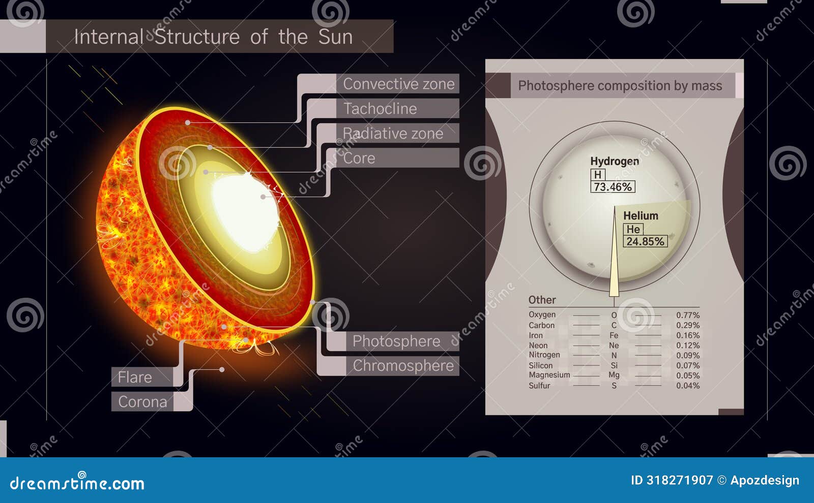 Internal Structure of the Sun. Sun Diagram by Layers, Sun Layout Vector ...