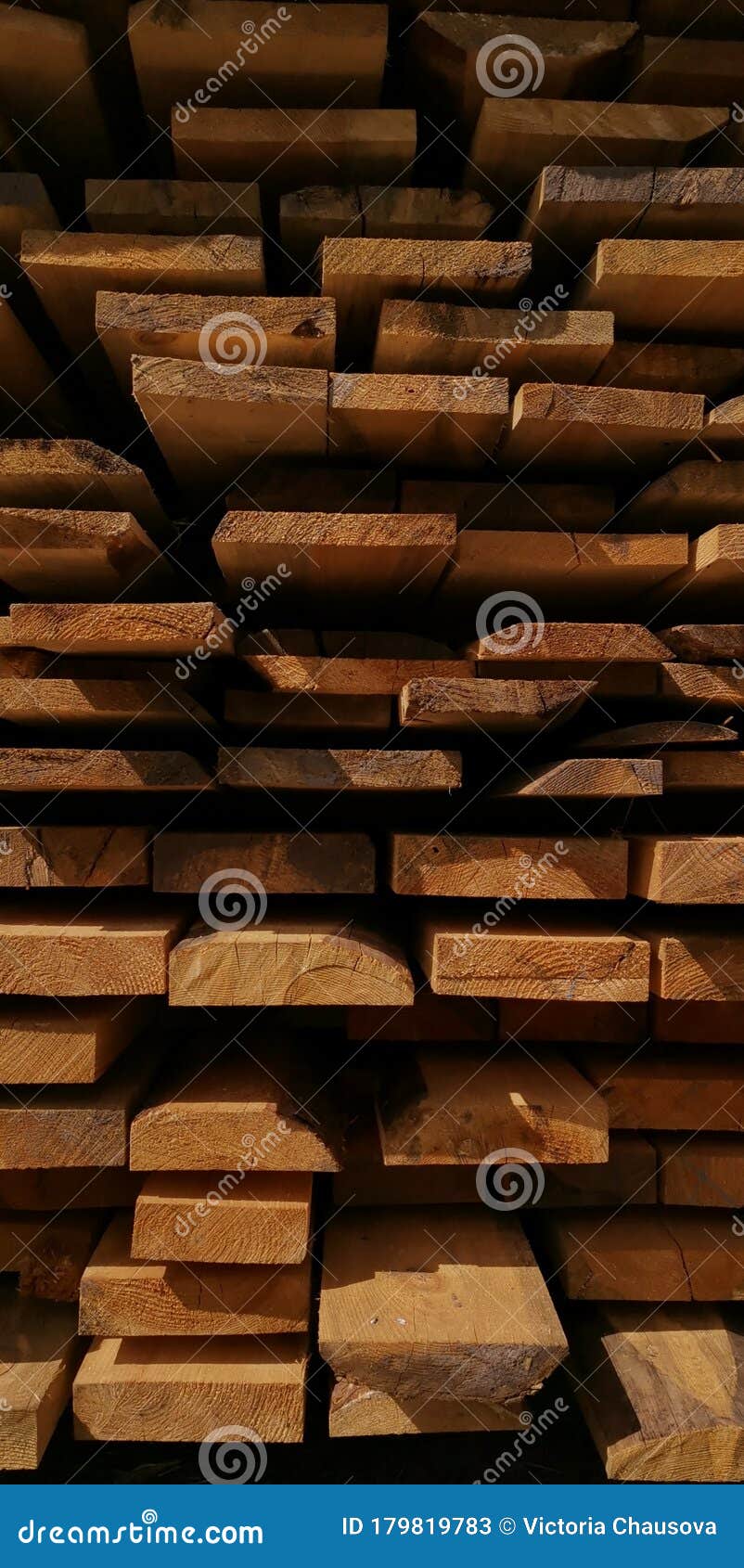 Internal structure of wood stock image. Image of internal - 179819783