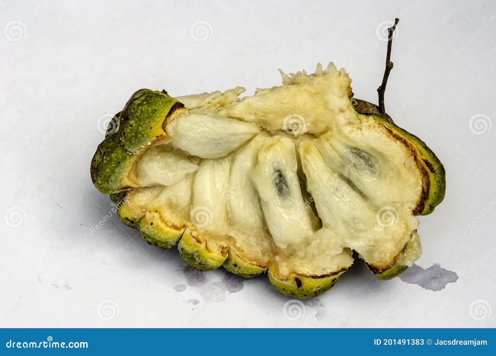 Internal of Sugar Apple stock image. Image of annoma - 201491383
