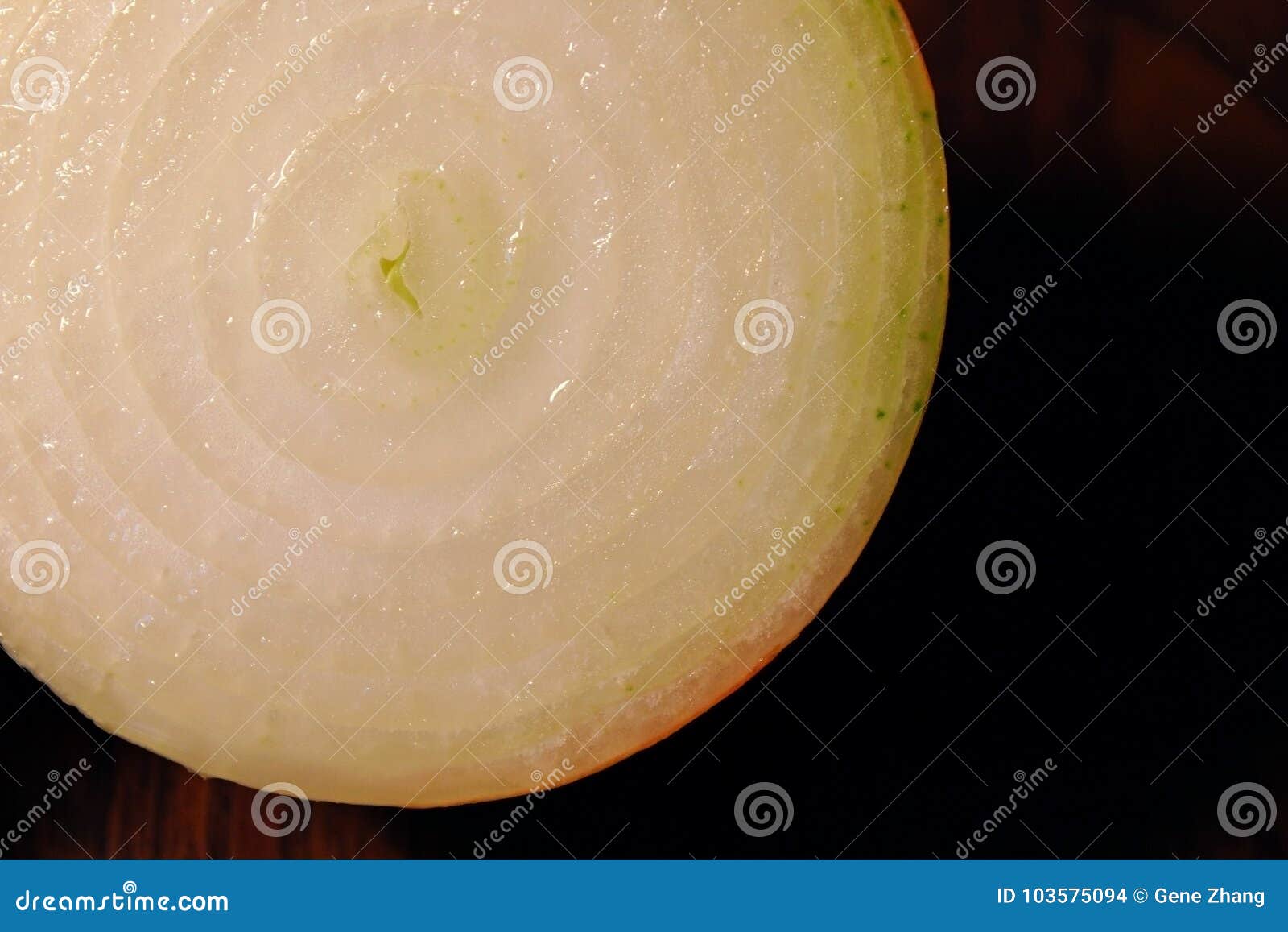 Internal Texture of Onion Ring Cross-section Stock Photo - Image of ...