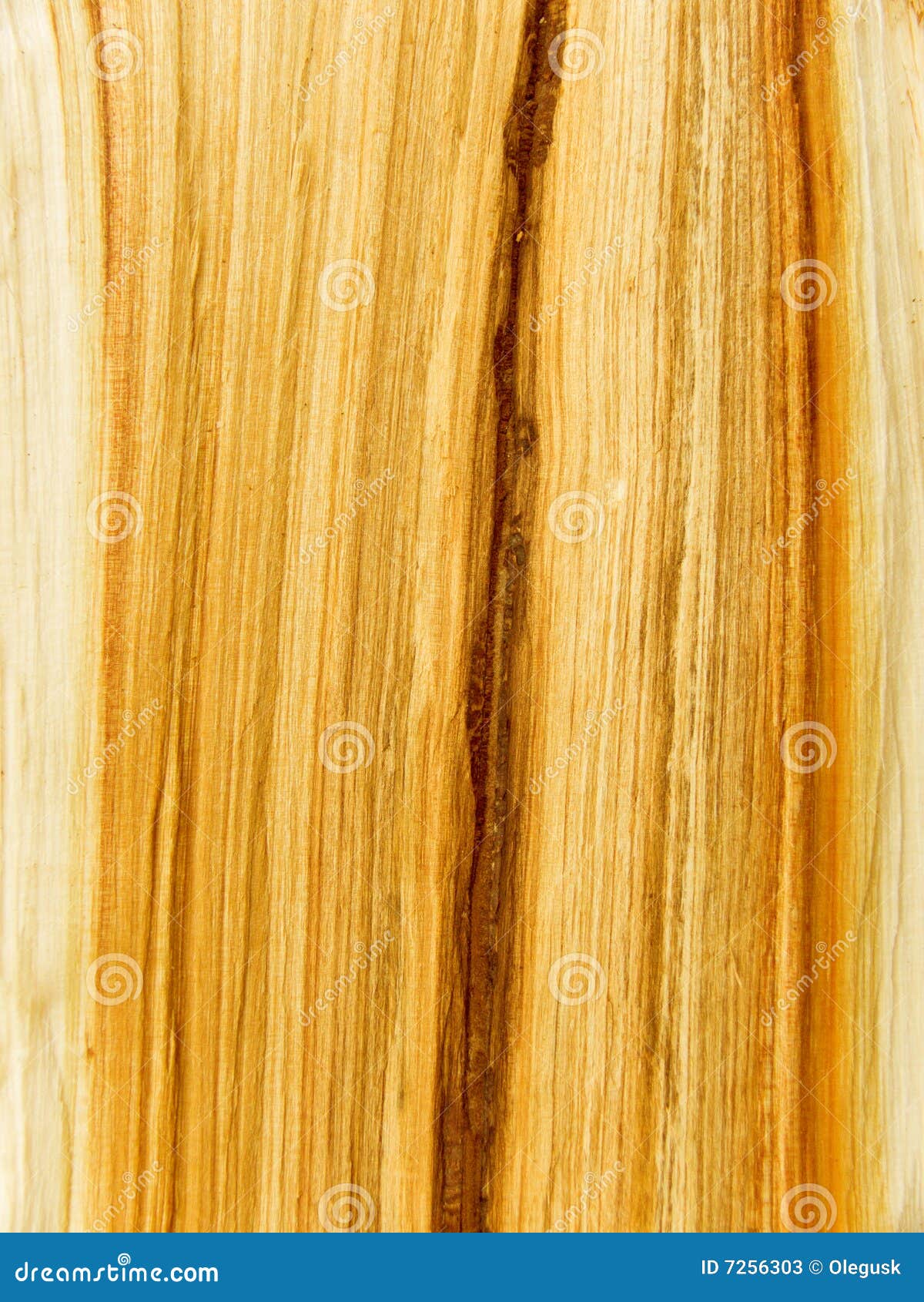 Internal tree structure stock image. Image of season, structure - 7256303