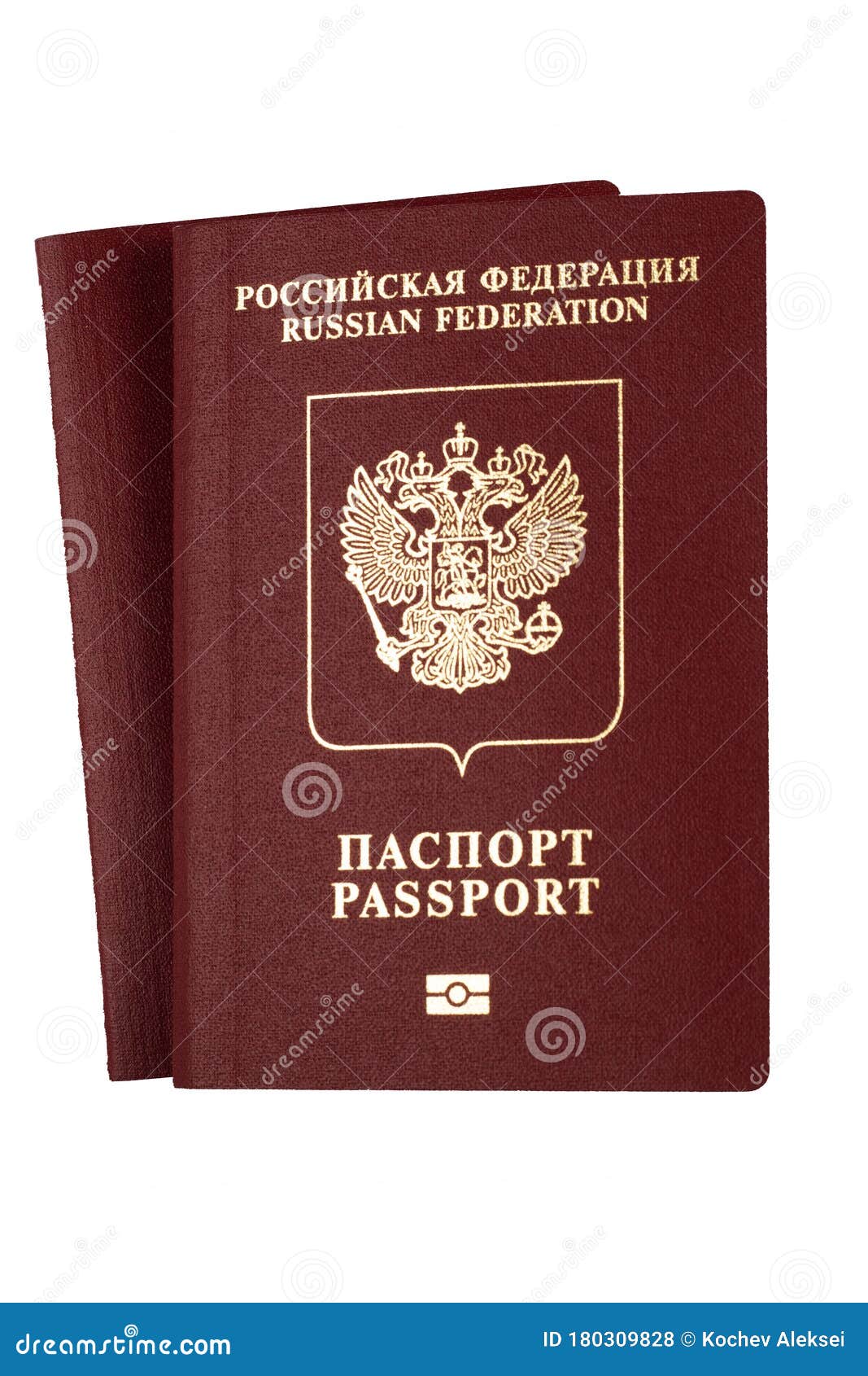 International Biometric Passport Of A Citizen Of The Russian Federation