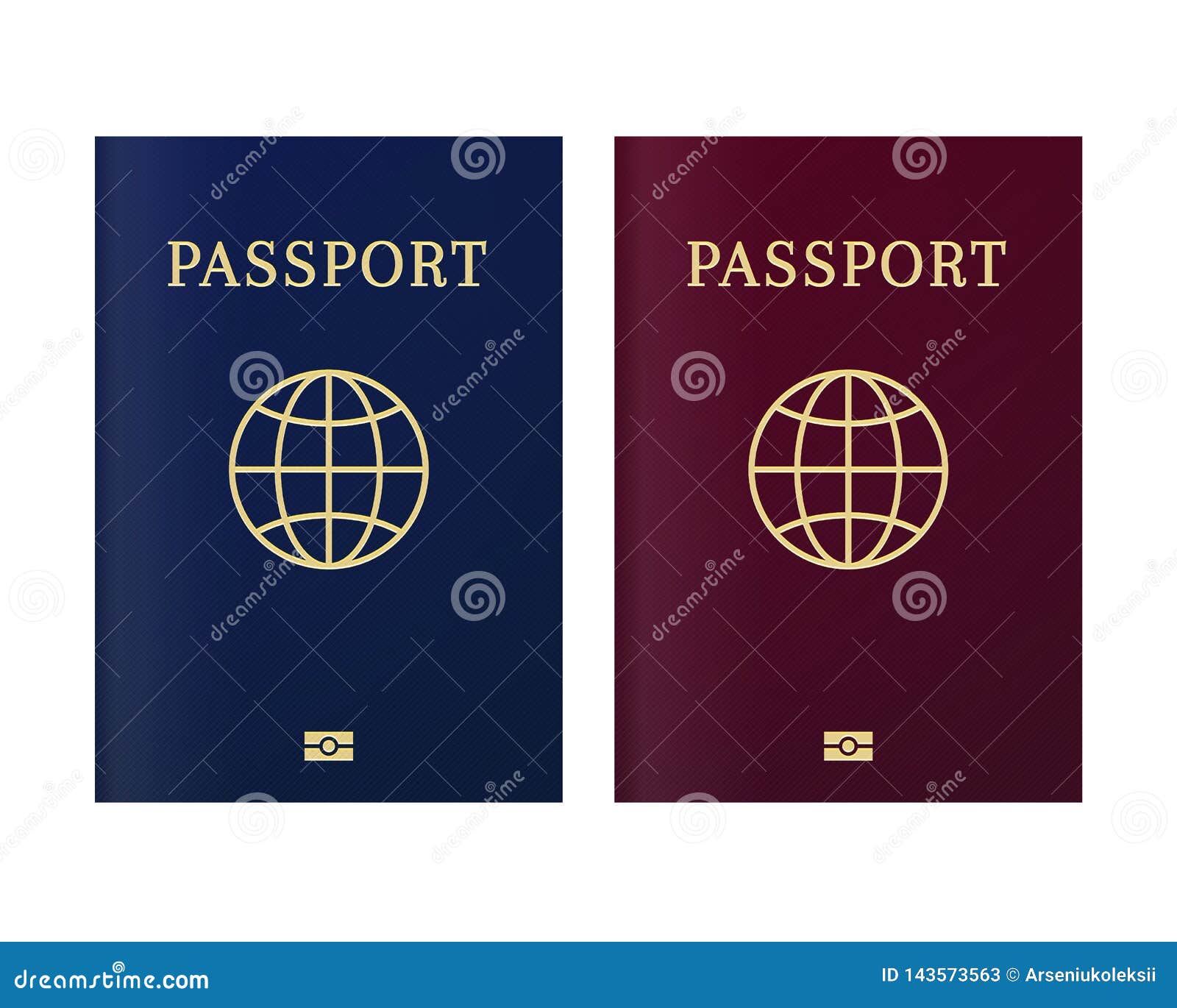 International Biometric Passport Cover Page Stock Vector