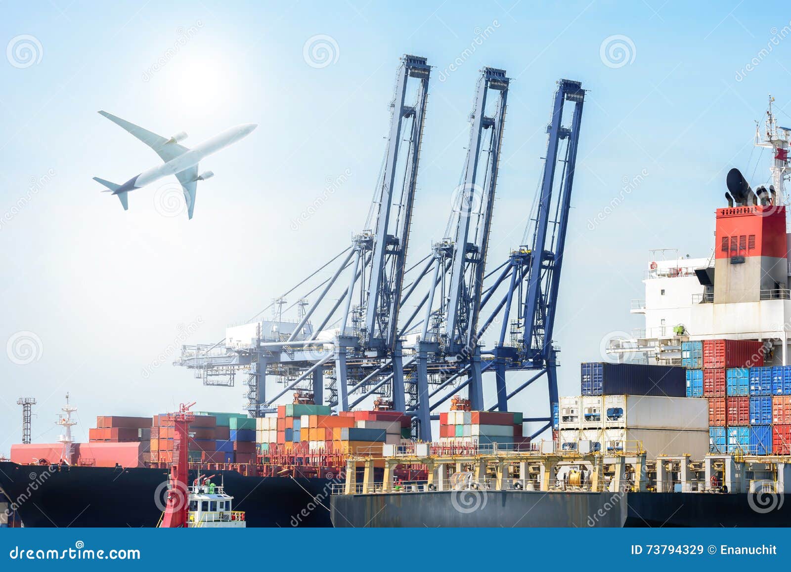 International Container Cargo Ship and Cargo Plane for Logistic Import ...