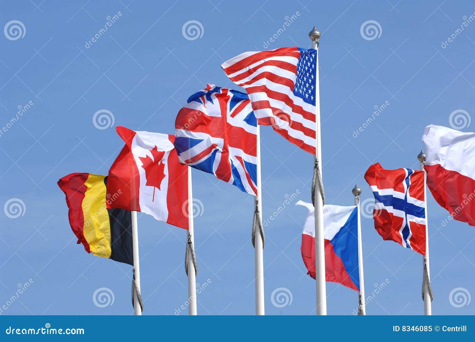 International Flags Royalty-Free Stock Image | CartoonDealer.com #44735422