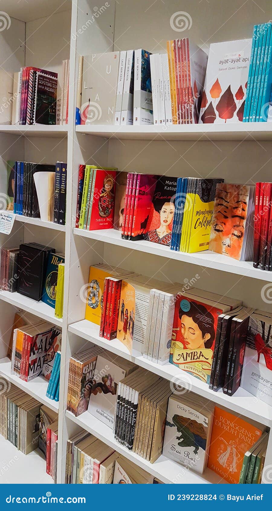 International Novel Book Section on a White Shelf Editorial Stock Image ...