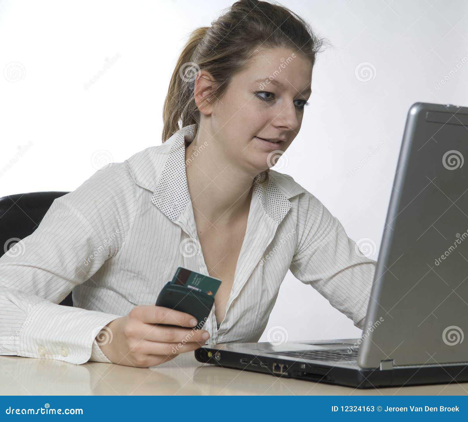 Internet banking stock image. Image of success, laptop - 12324163