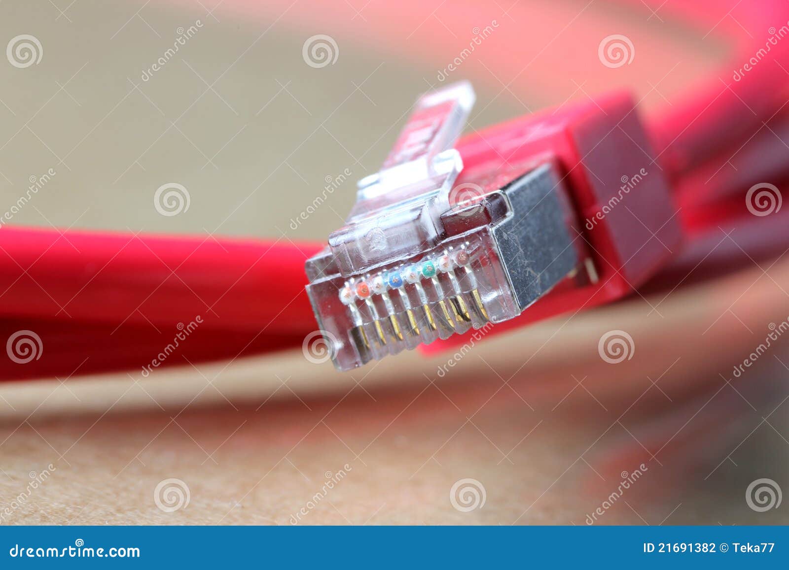 Internet cable stock photo. Image of computer, switch - 21691382