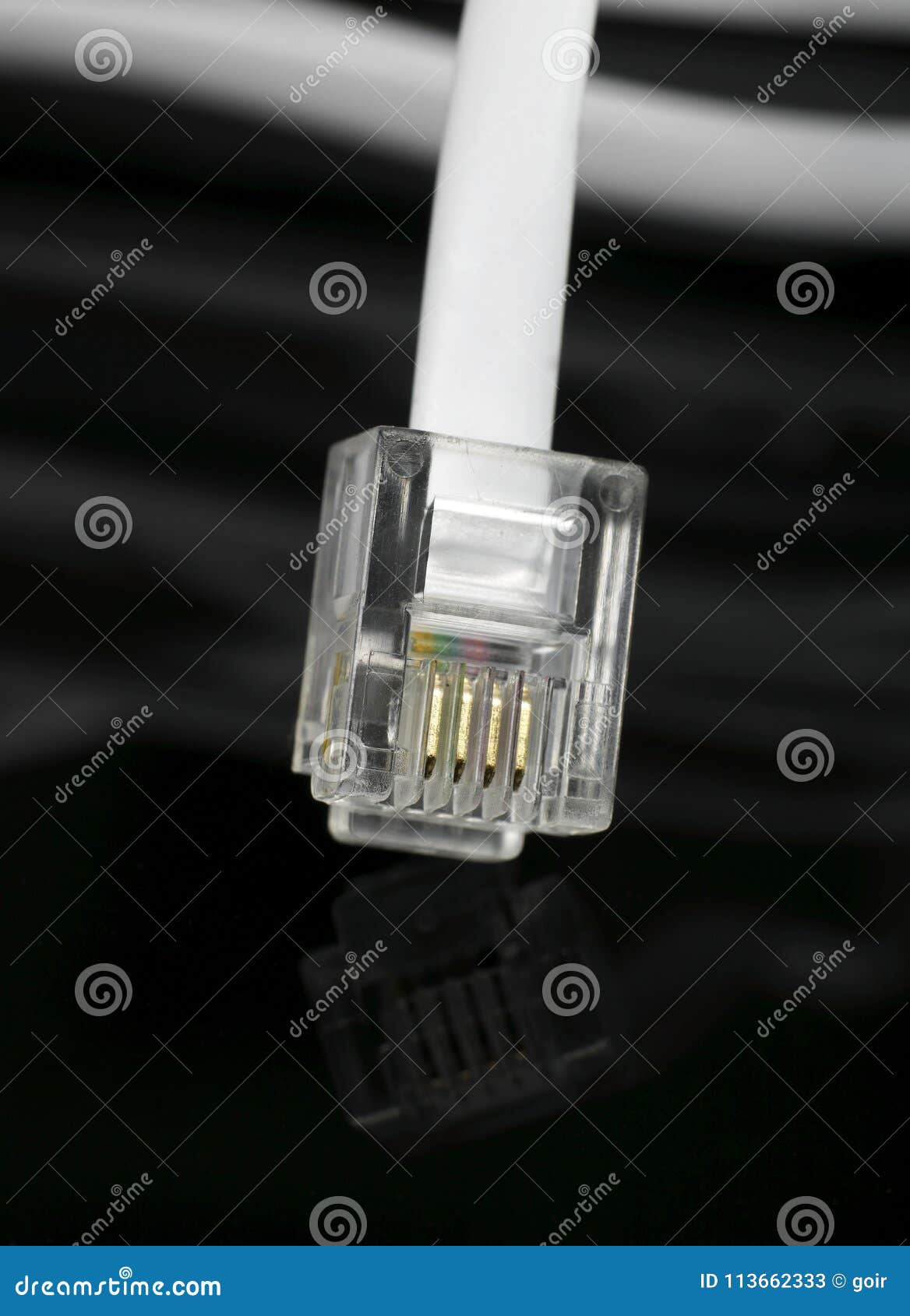 Internet cable on black stock image. Image of network - 113662333