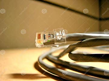 Internet cable closup stock image. Image of communication - 624485
