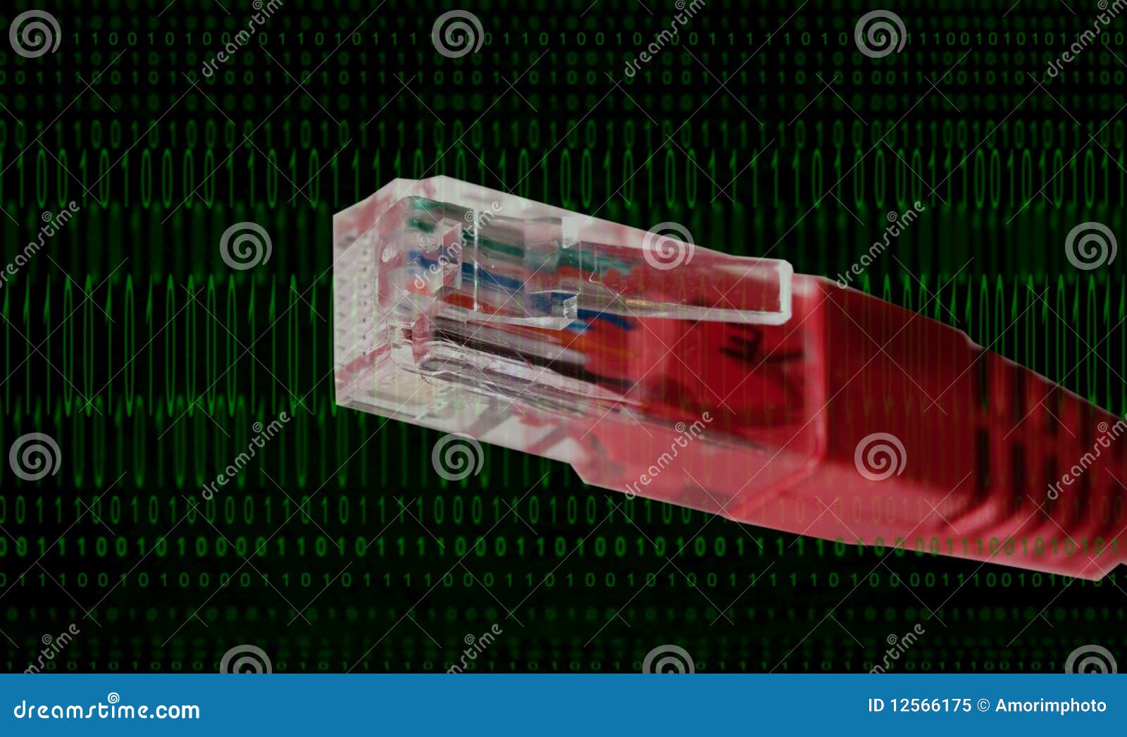 Internet cable and code stock image. Image of isolated - 12566175